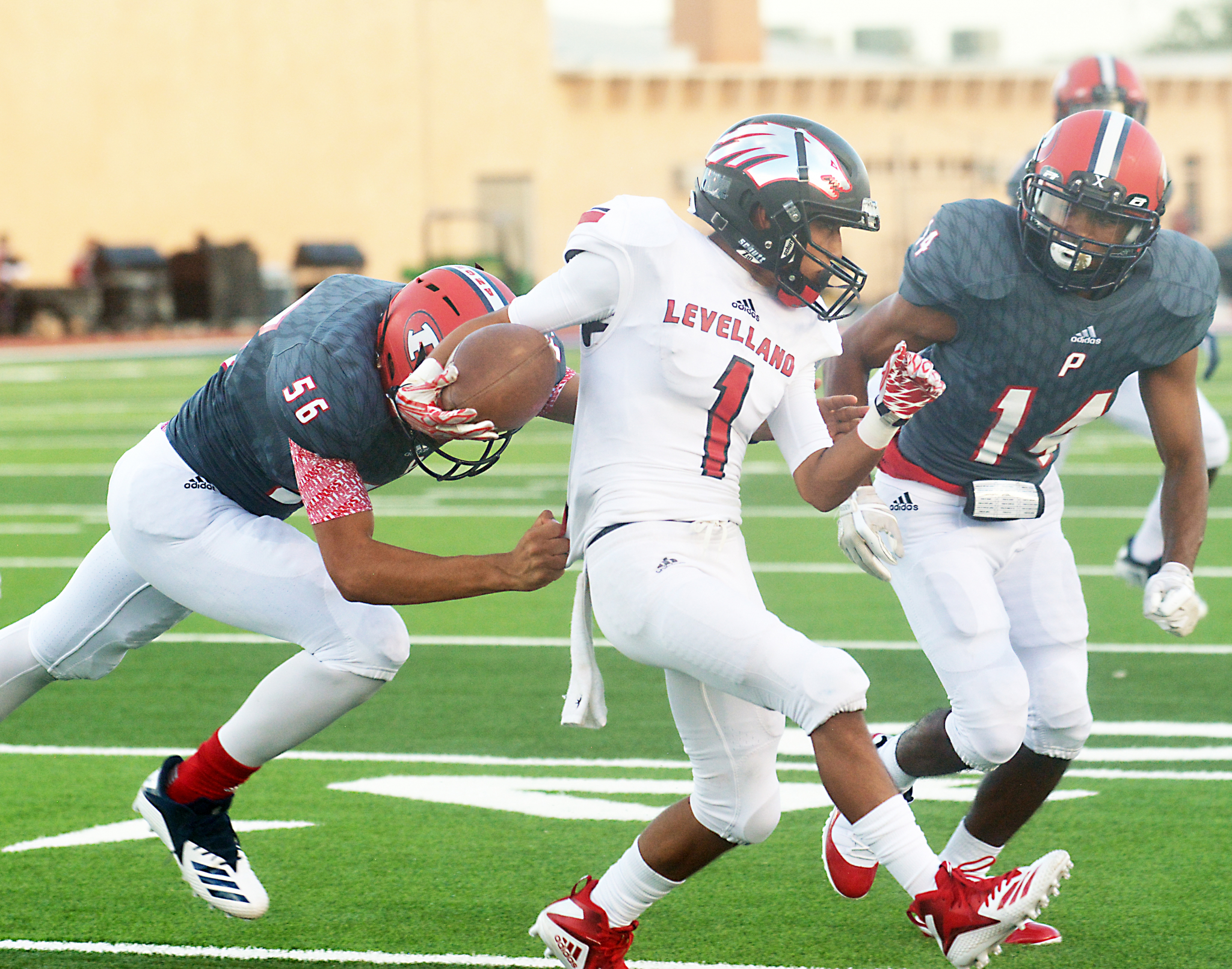 Lobos collar Bulldogs, 36-0