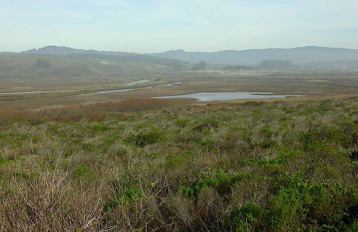Weekend getaway to Pescadero reveals beach, marsh
