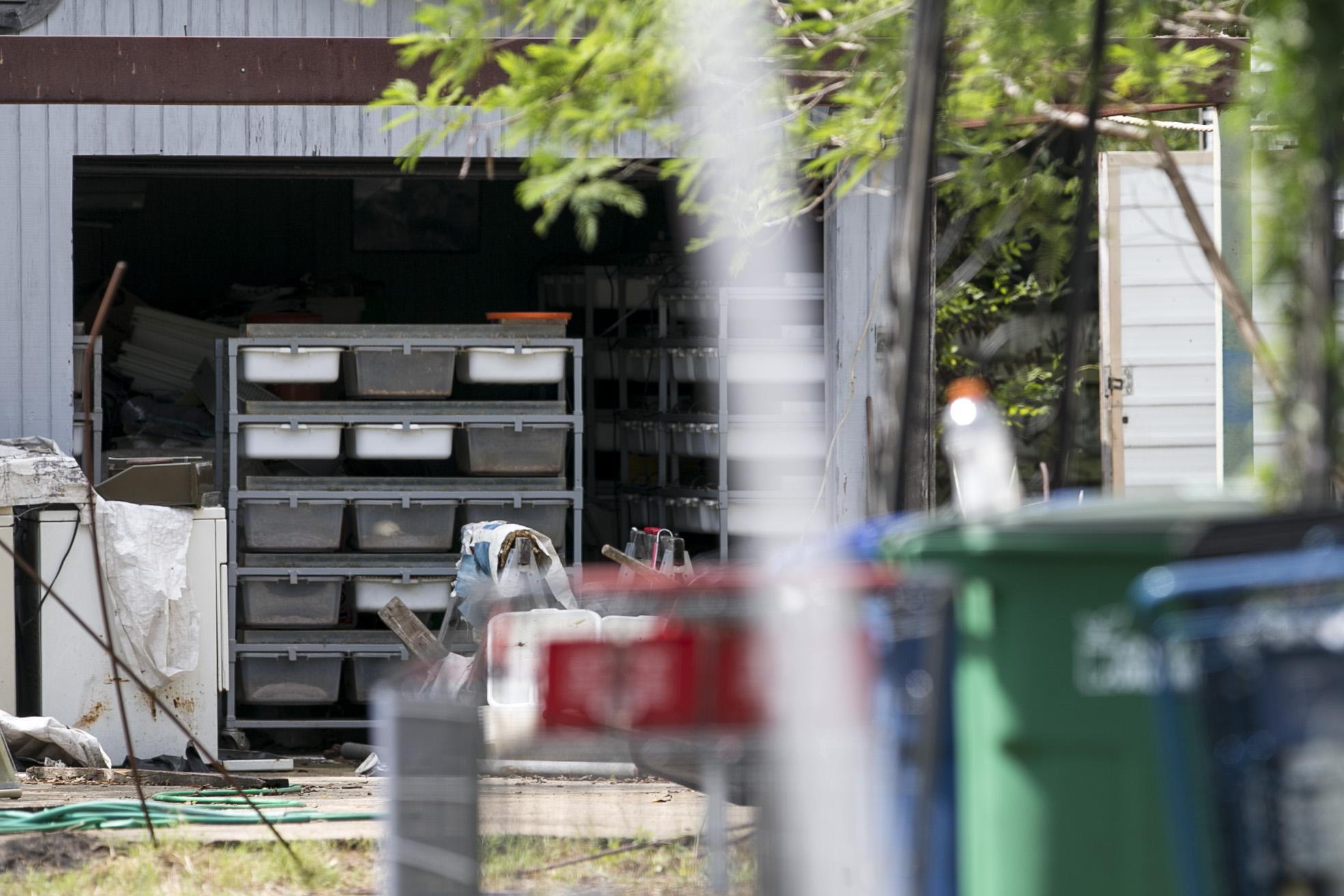Animal Care officers seize more than 100 snakes, hundreds of mice and rats