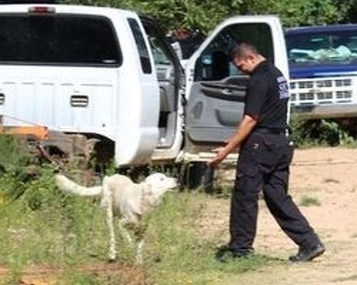 SPCA treats emaciated animals after raid on suspected drug house in San ...