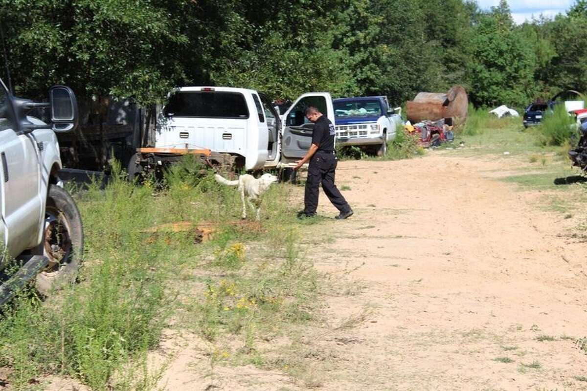 SPCA treats emaciated animals after raid on suspected drug house in San ...