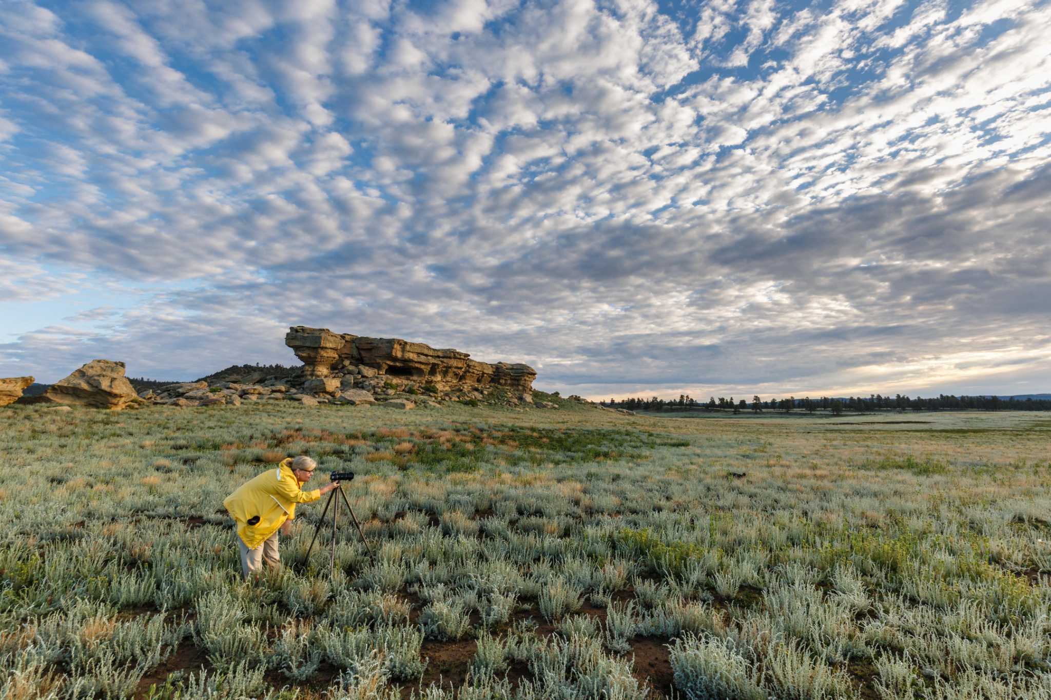 Welcome to Vermejo Park Ranch, Ted Turner’s conservation legacy