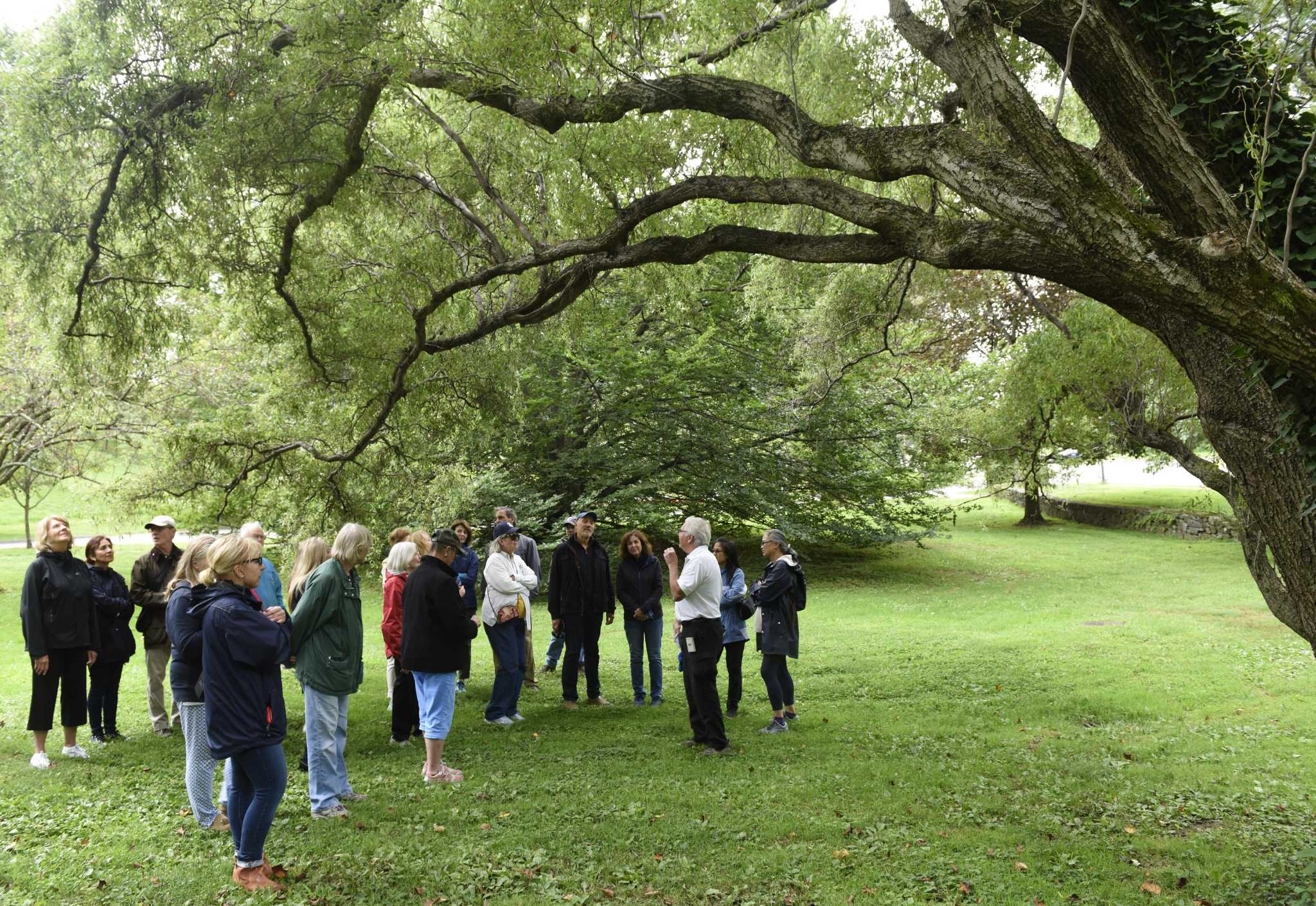 Greenwich Tree Conservancy holds Byram Tree Walk