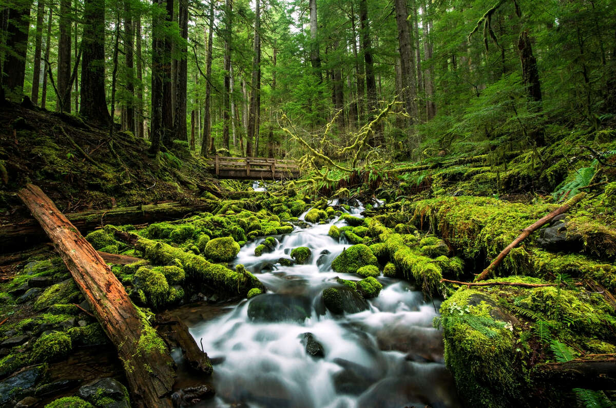 Connelly: From Maui to Maine, you must visit these 13 American national ...