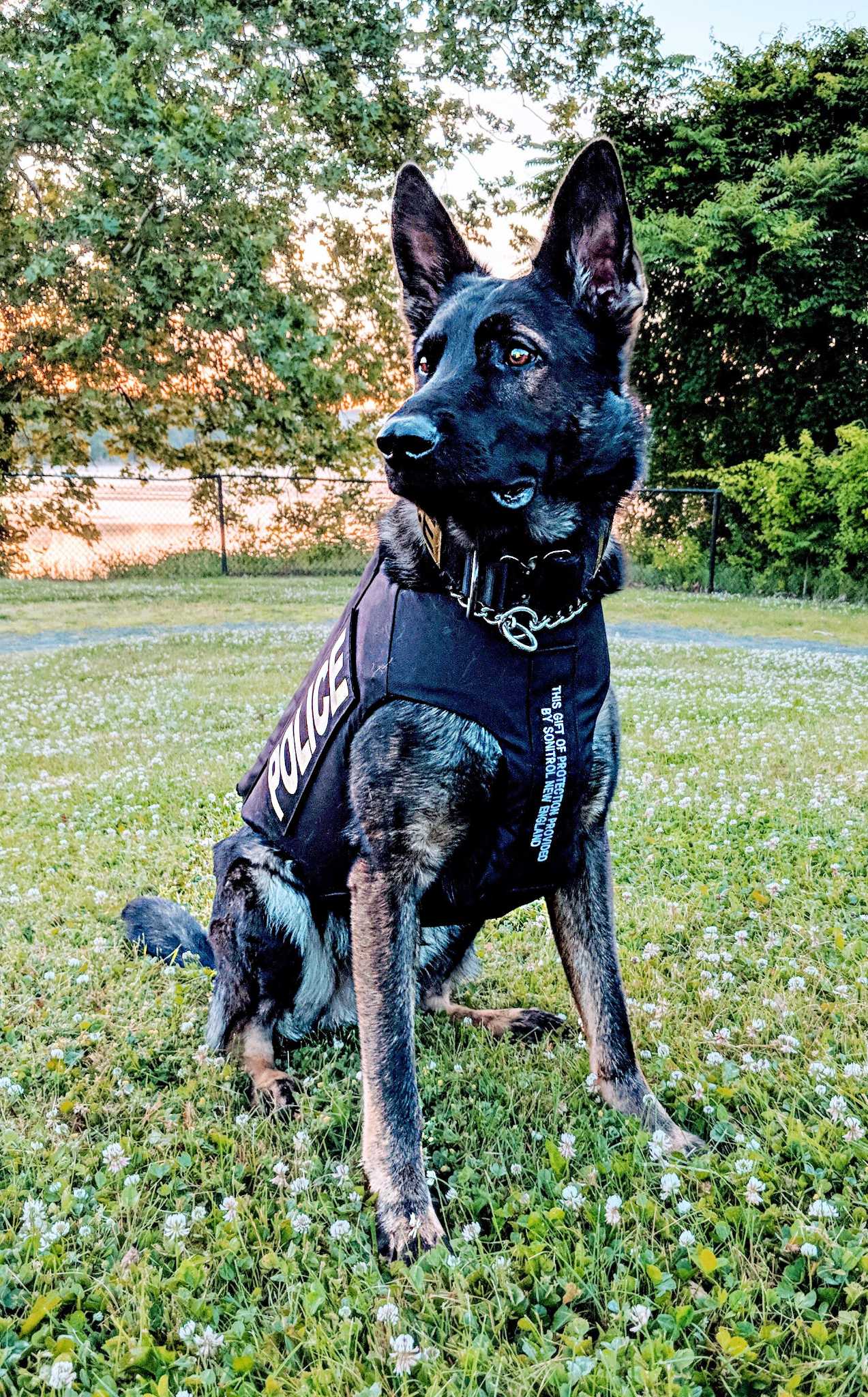 Middletown police canine officer outfitted with donated body armor