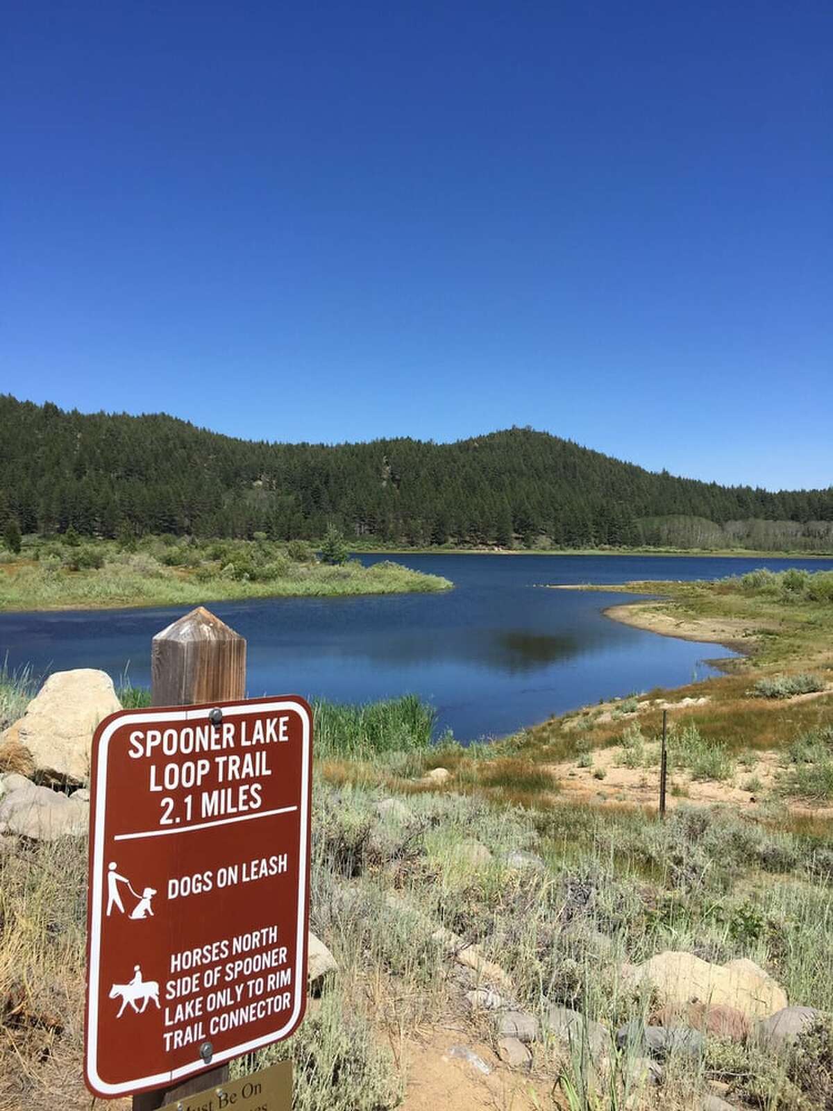 Freeway proposal could change your drive to Tahoe