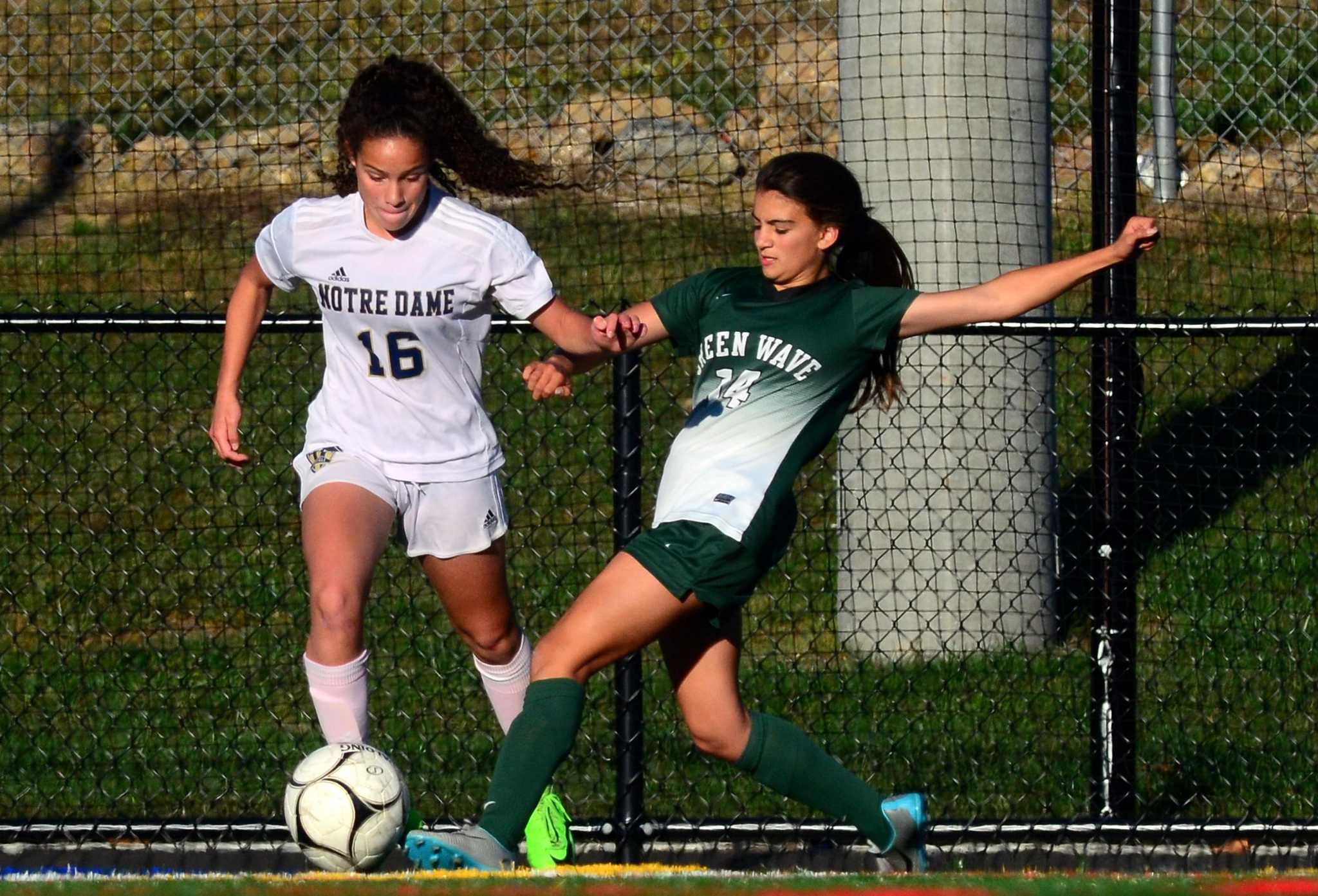 2018 Girls Soccer Preview