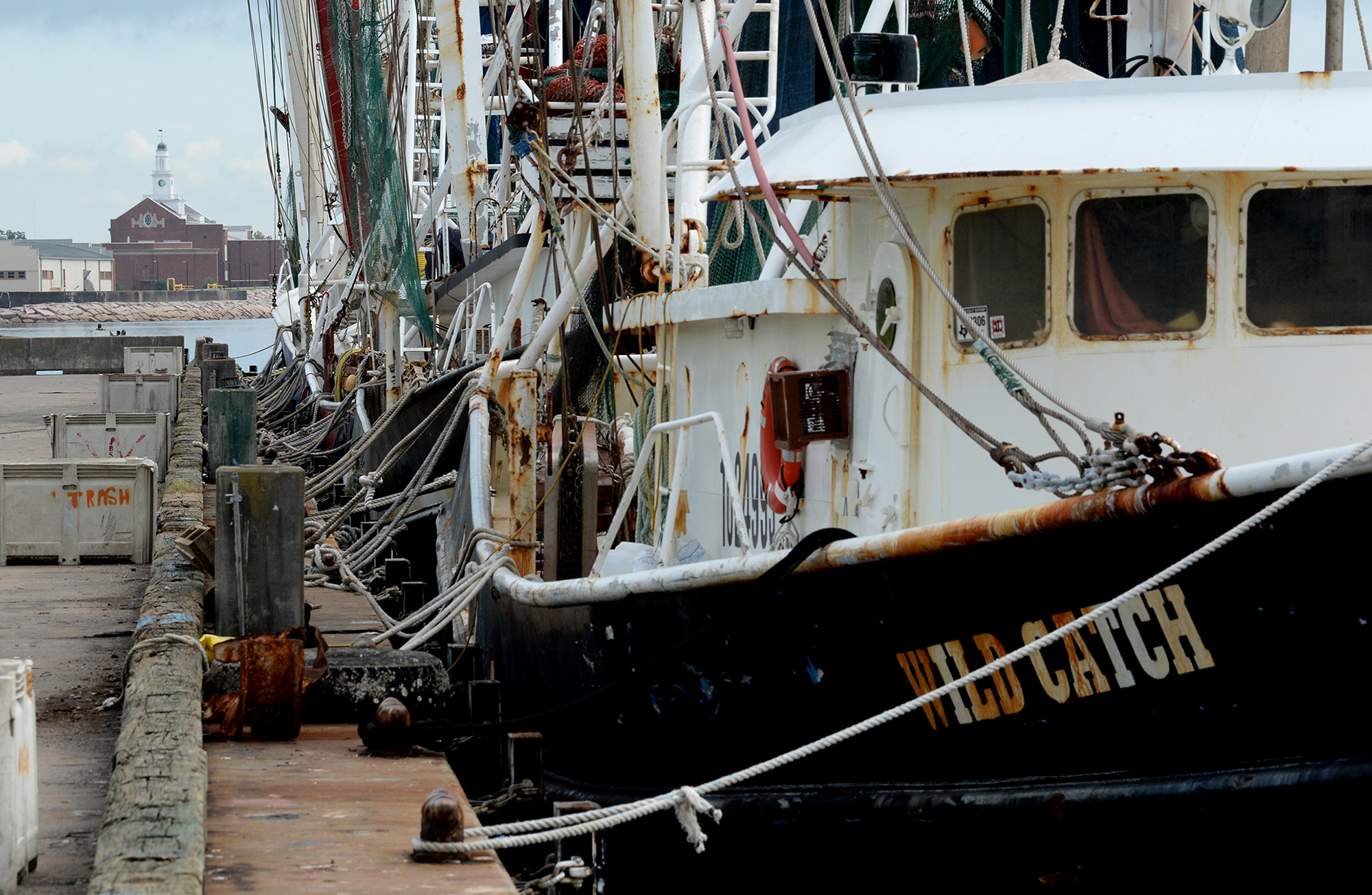 Local shrimpers struggle with slow season