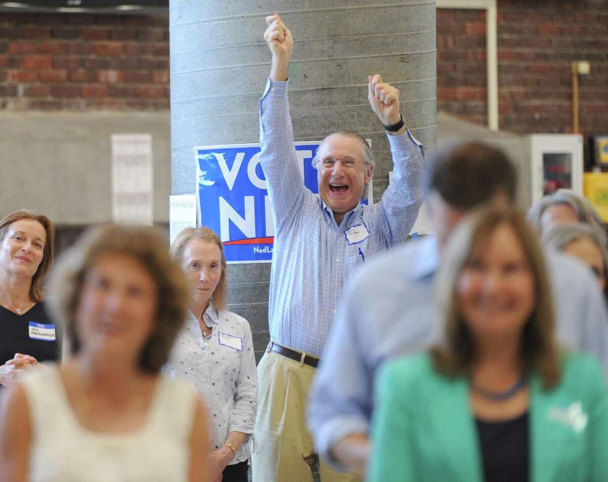 Greenwich Dems picnic draws record crowd