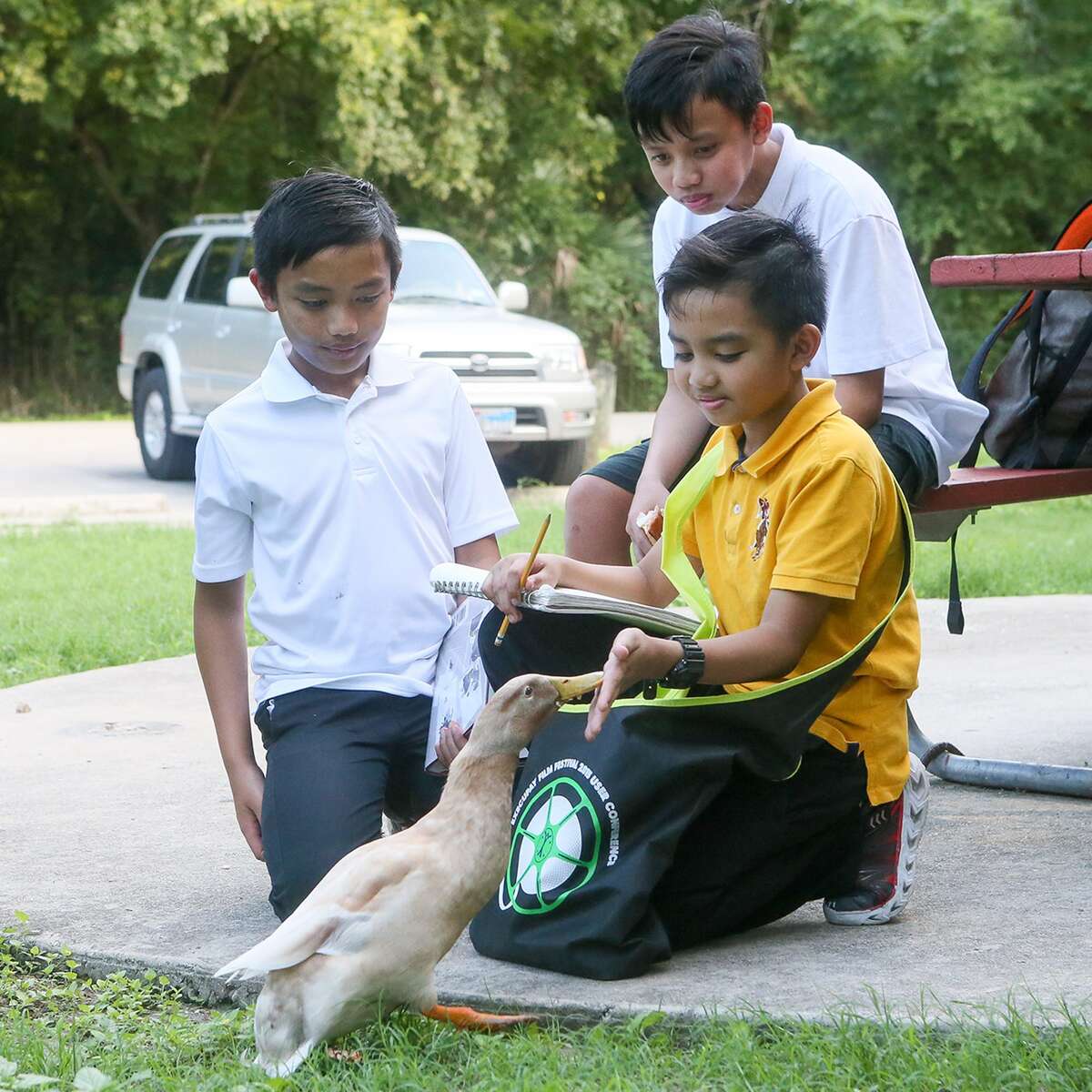 Mosquitoes swarm San Antonio after weeks of heavy rain