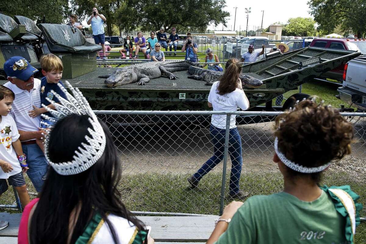 A day in the life of a Gator Queen