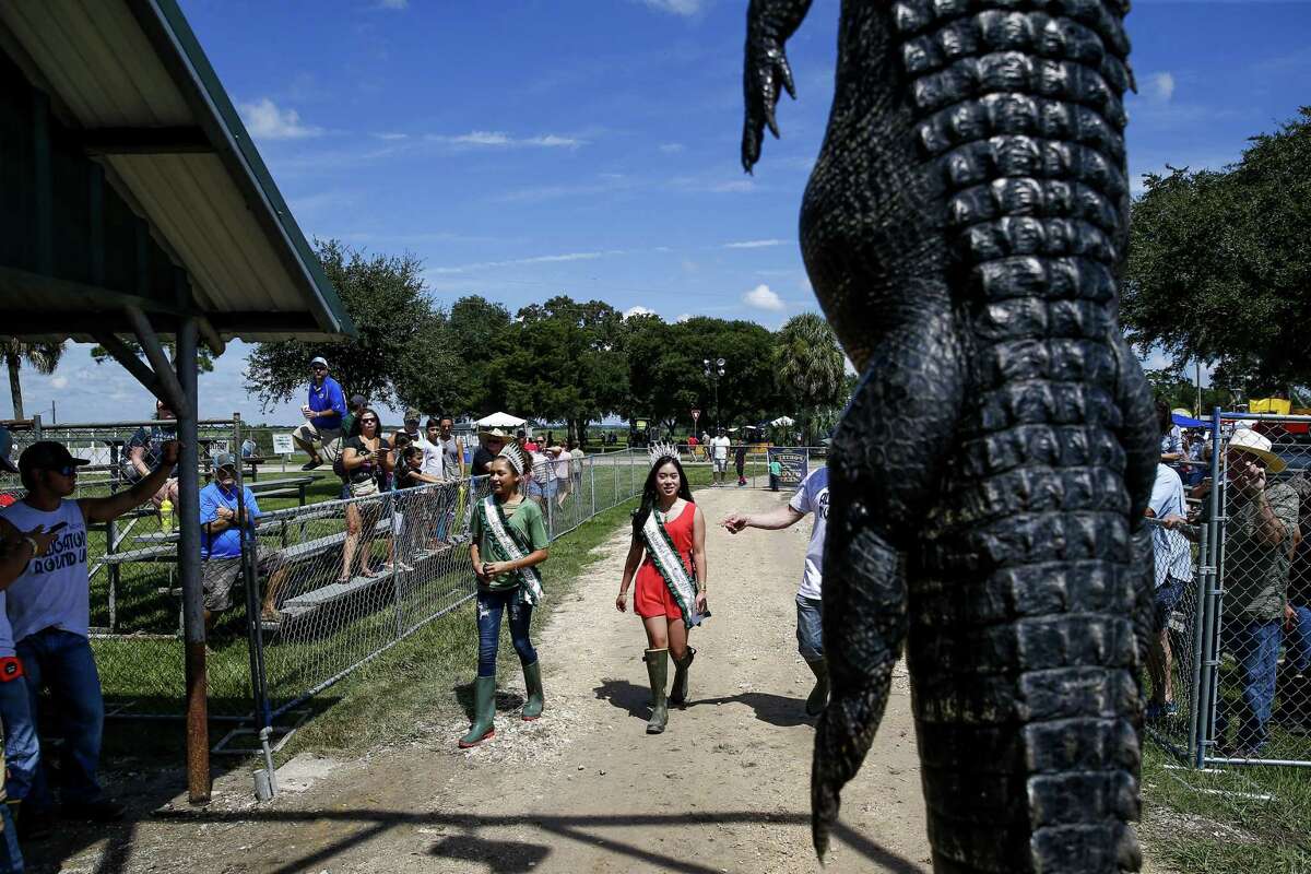 A day in the life of a Gator Queen