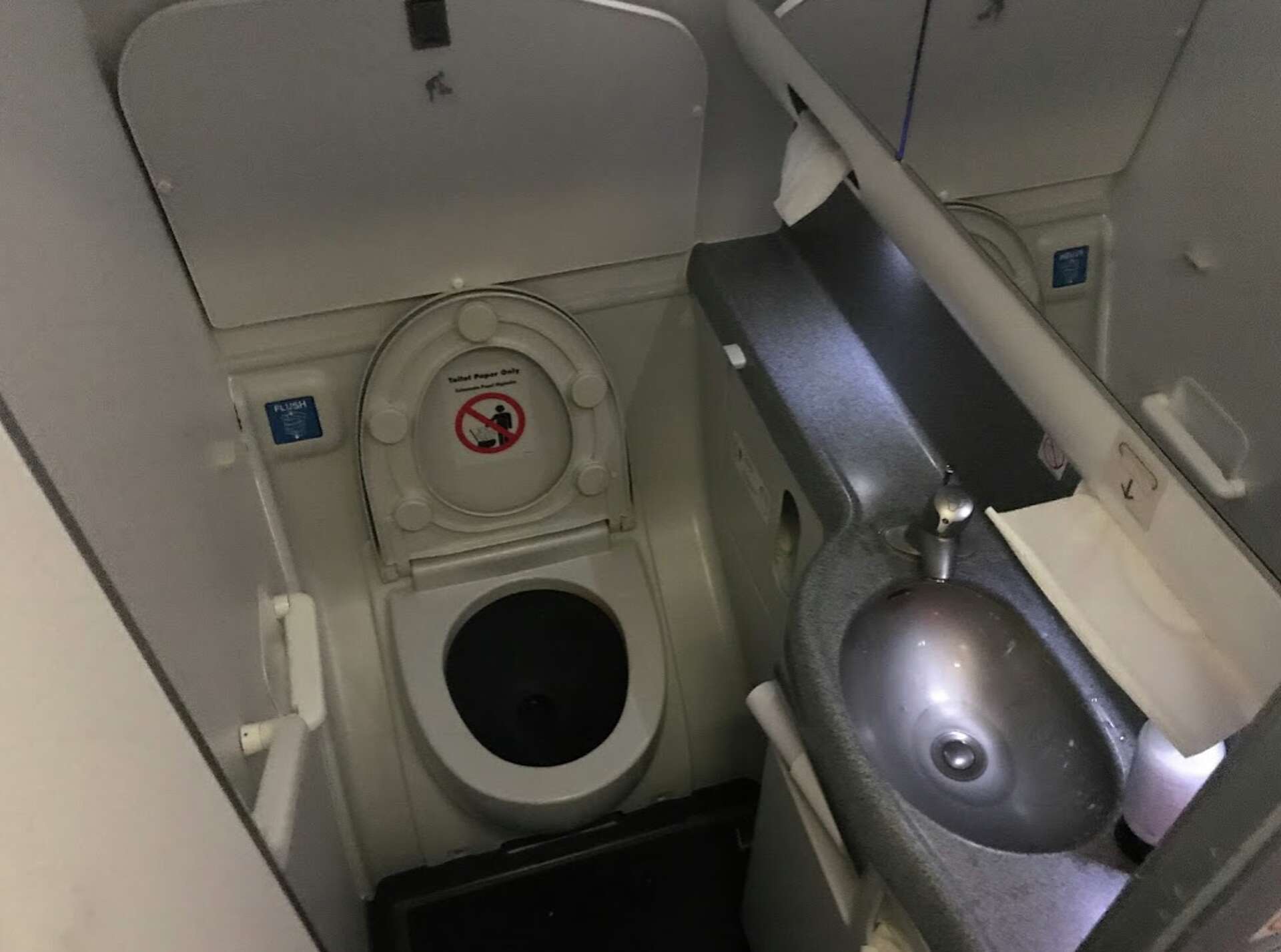 Airplane toilet seats: Up or down?