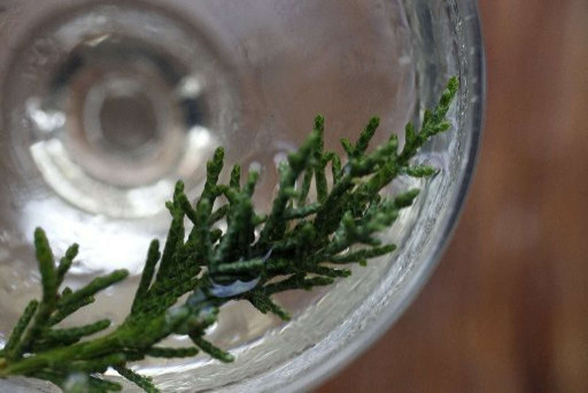 The story of Rich Table, told through five dishes