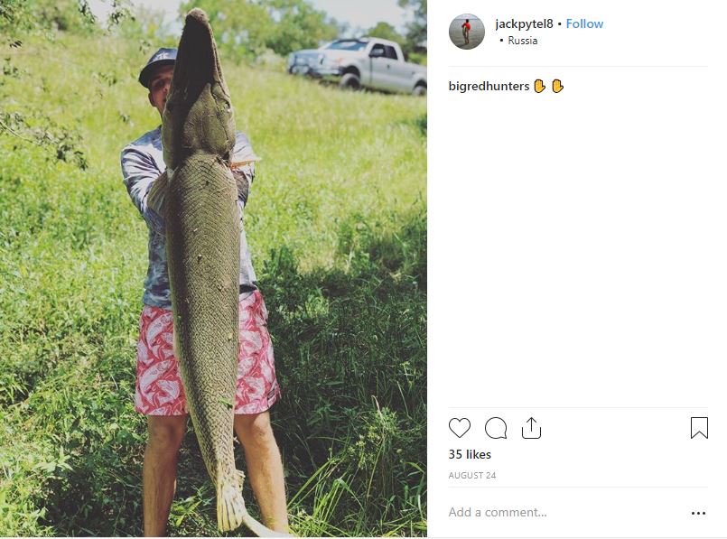 Texas fisherman catches two large alligator gar in area river