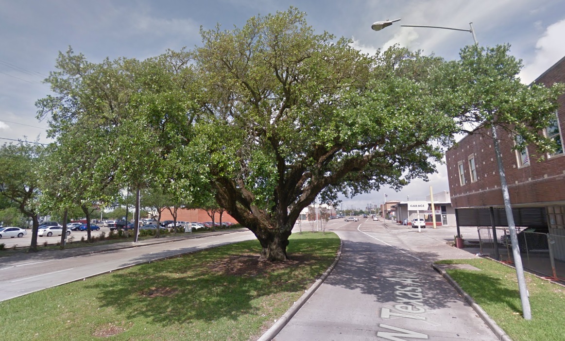 Baytown preservation group selling pens made out of ancient Oak Tree