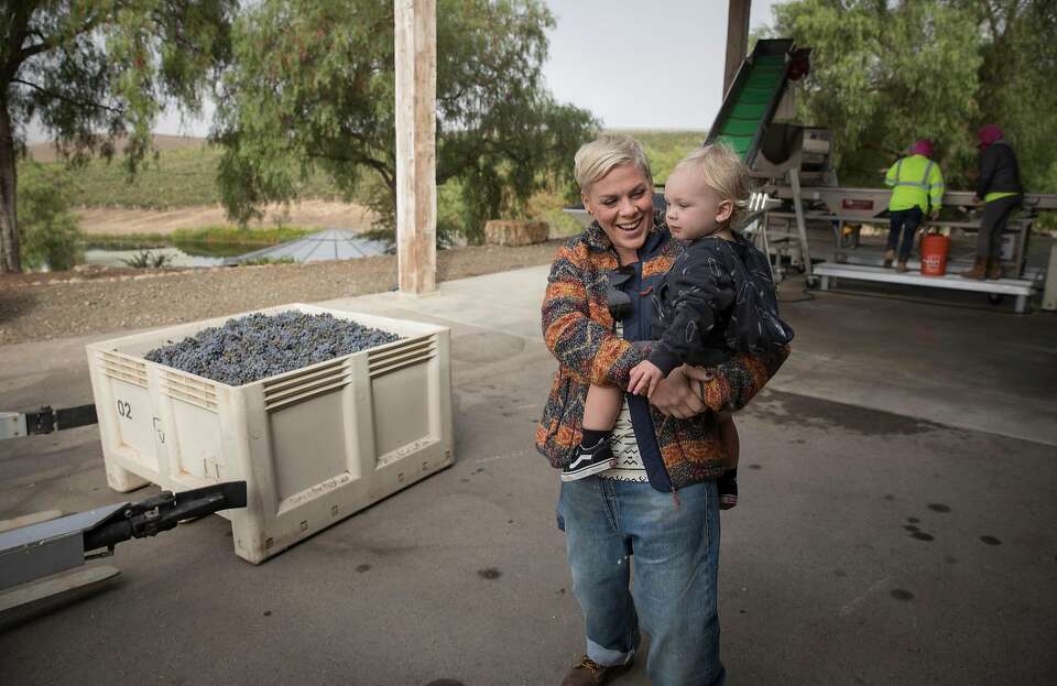 Pink's new stage: Pop star Alecia Moore reveals her secret life of ...