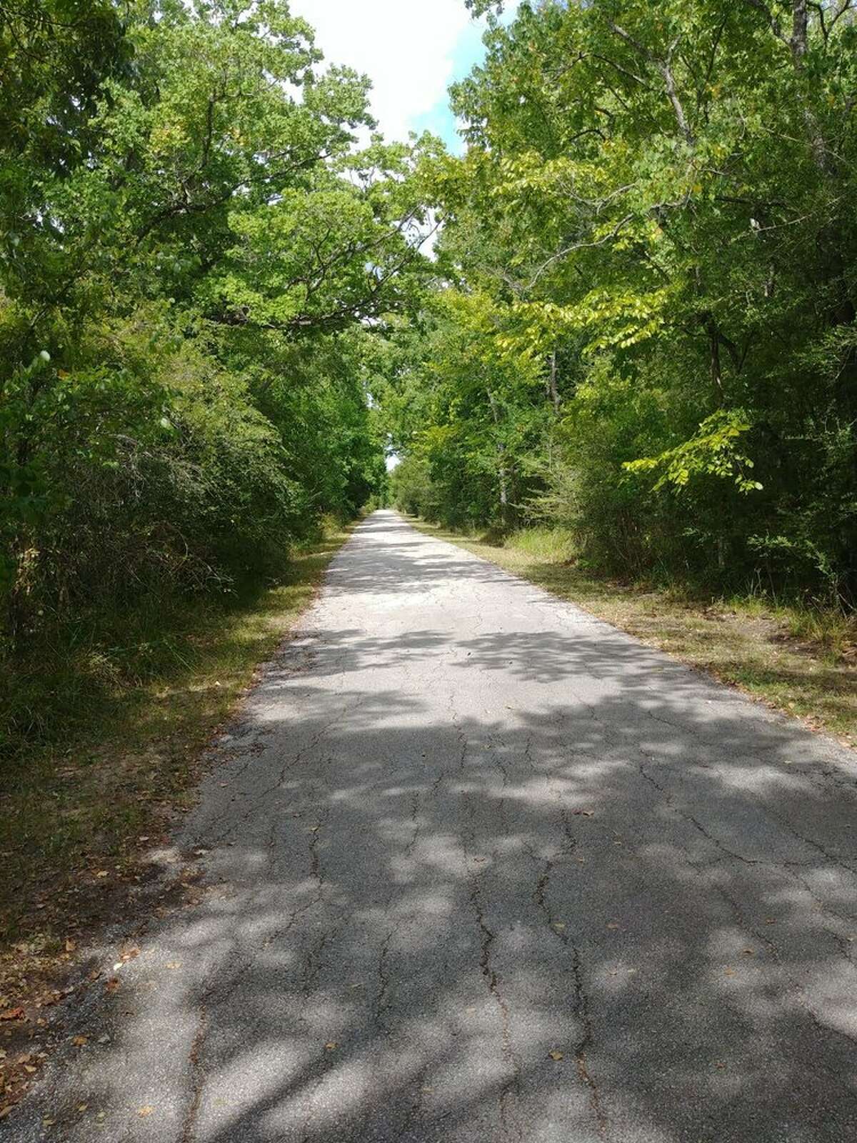 Houston’s Levy Park wins prestigious international award