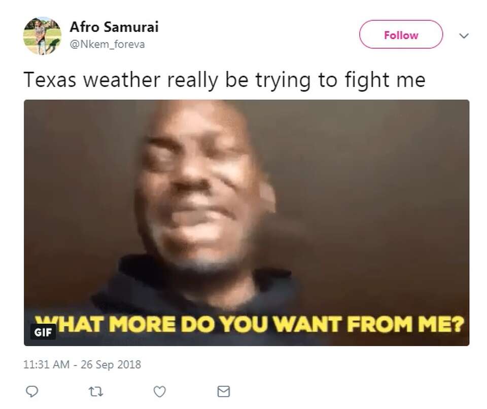 Texans rejoice with memes as cold front sweeps through the state
