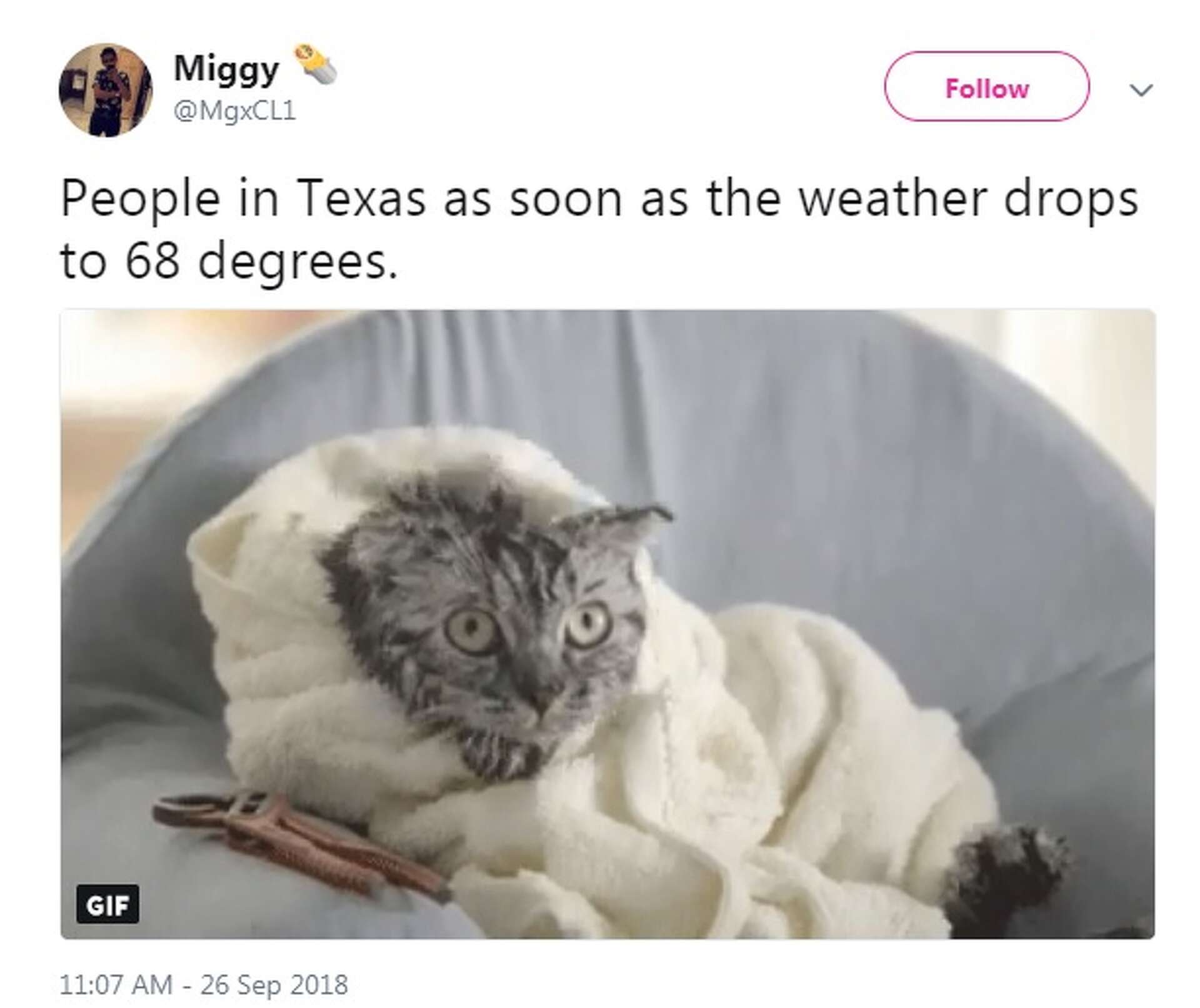 Texans rejoice with memes as cold front sweeps through the state