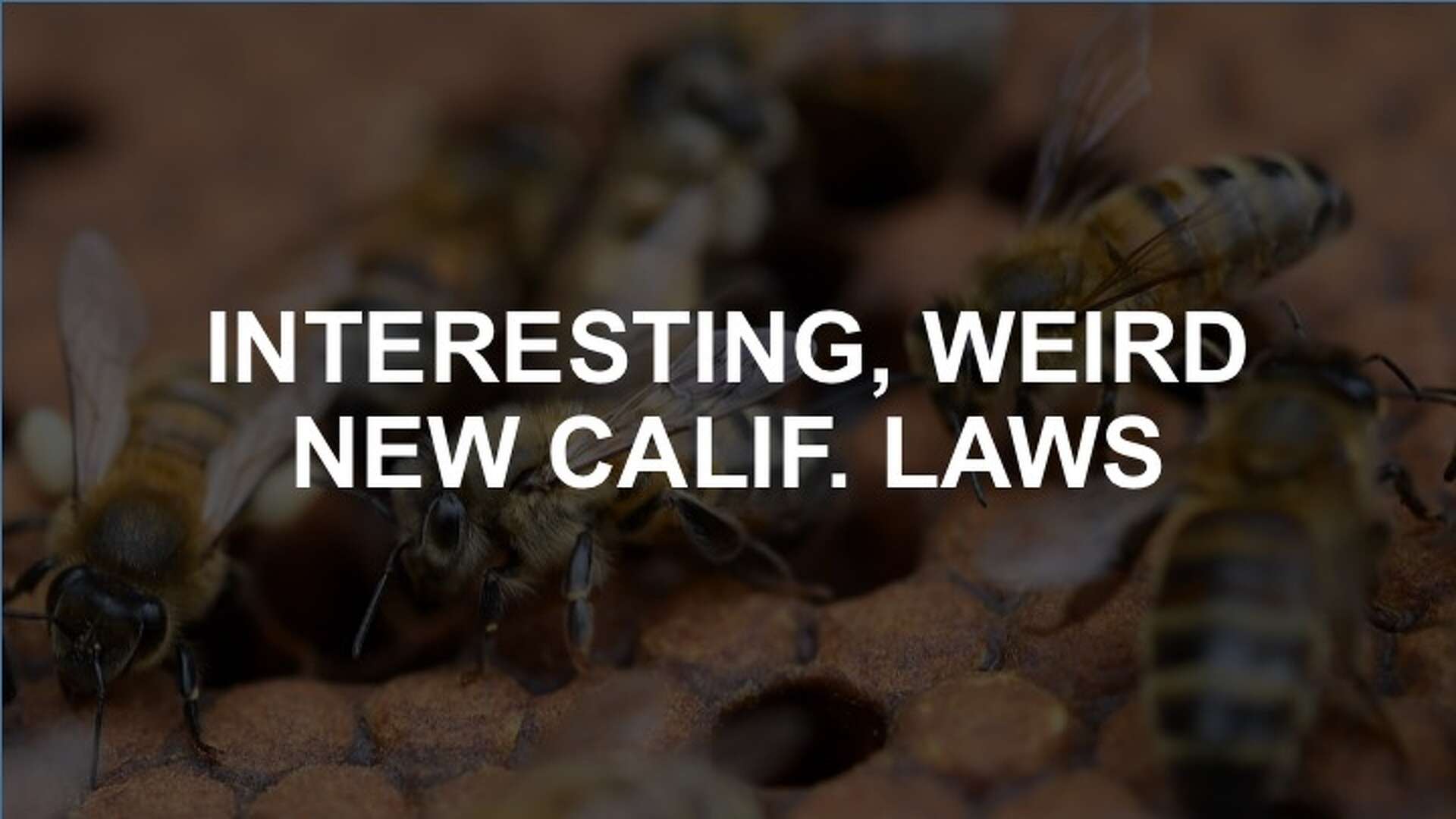 Booze at cemeteries? The weirdest, most interesting new California laws