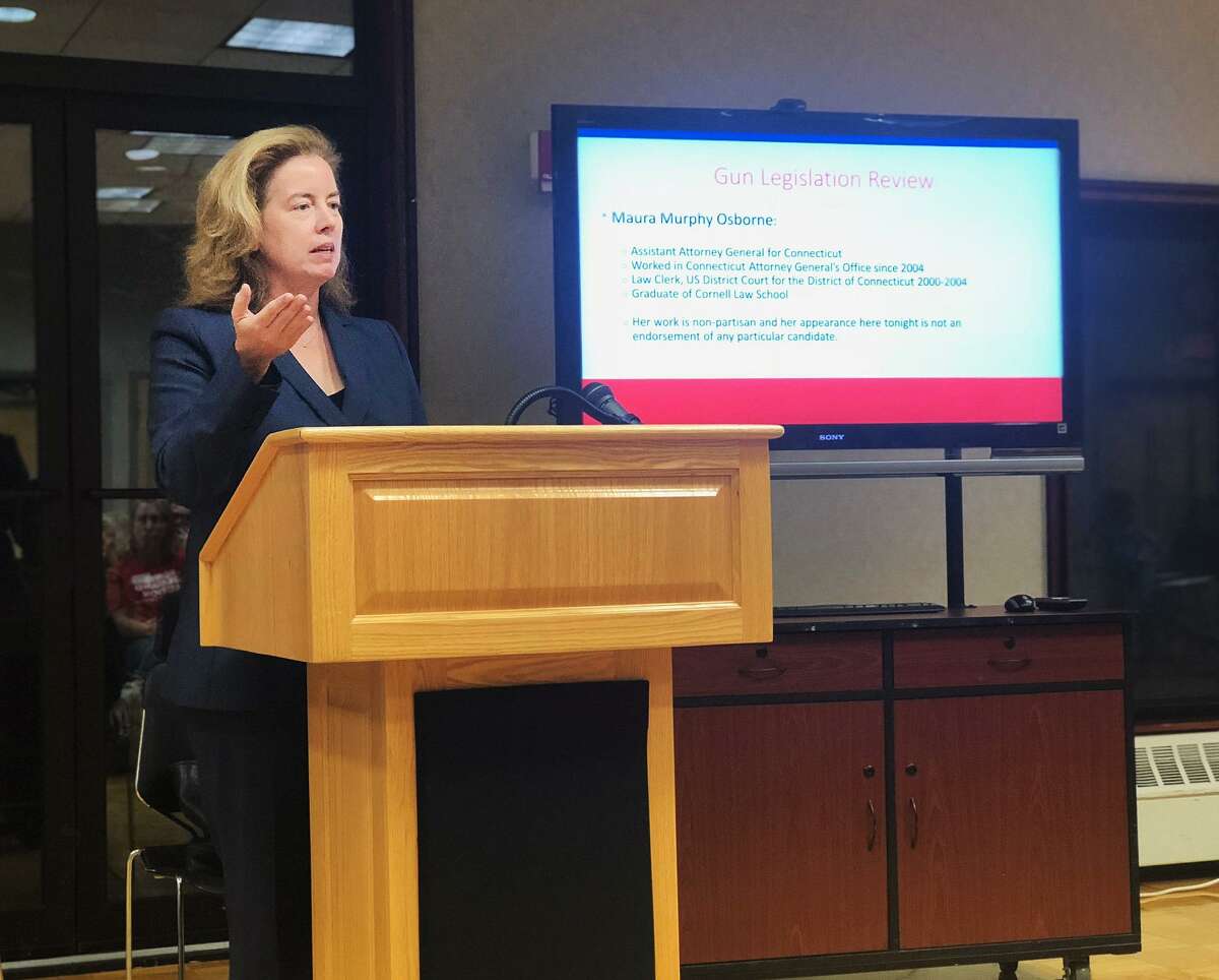 State assistant AG talks gun laws at Greenwich meeting
