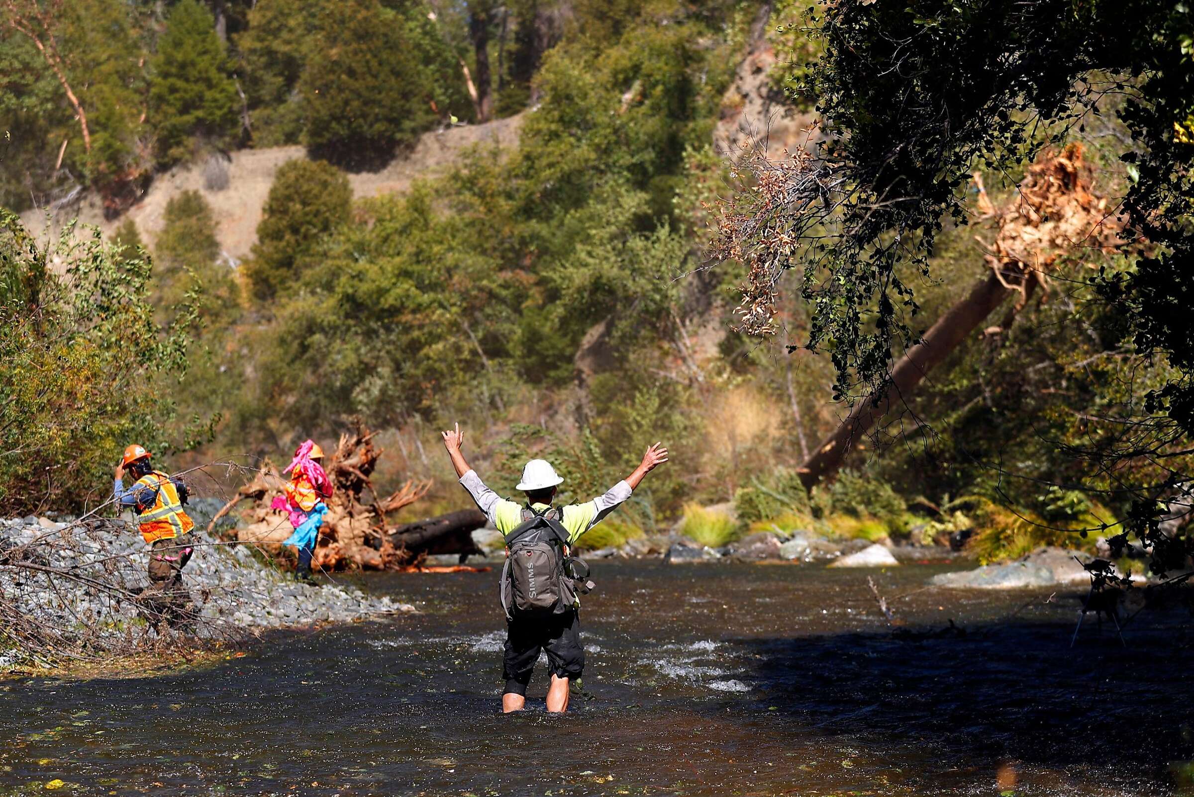 Yurok tribe revives ancestral lands by restoring salmon runs ...
