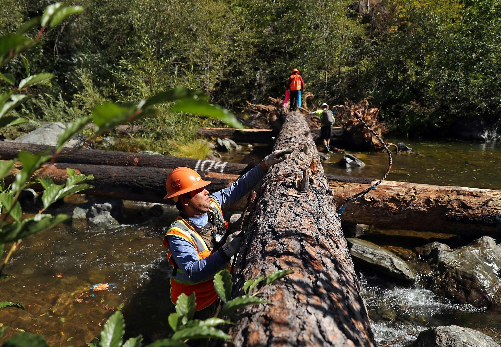 Yurok tribe revives ancestral lands by restoring salmon runs ...