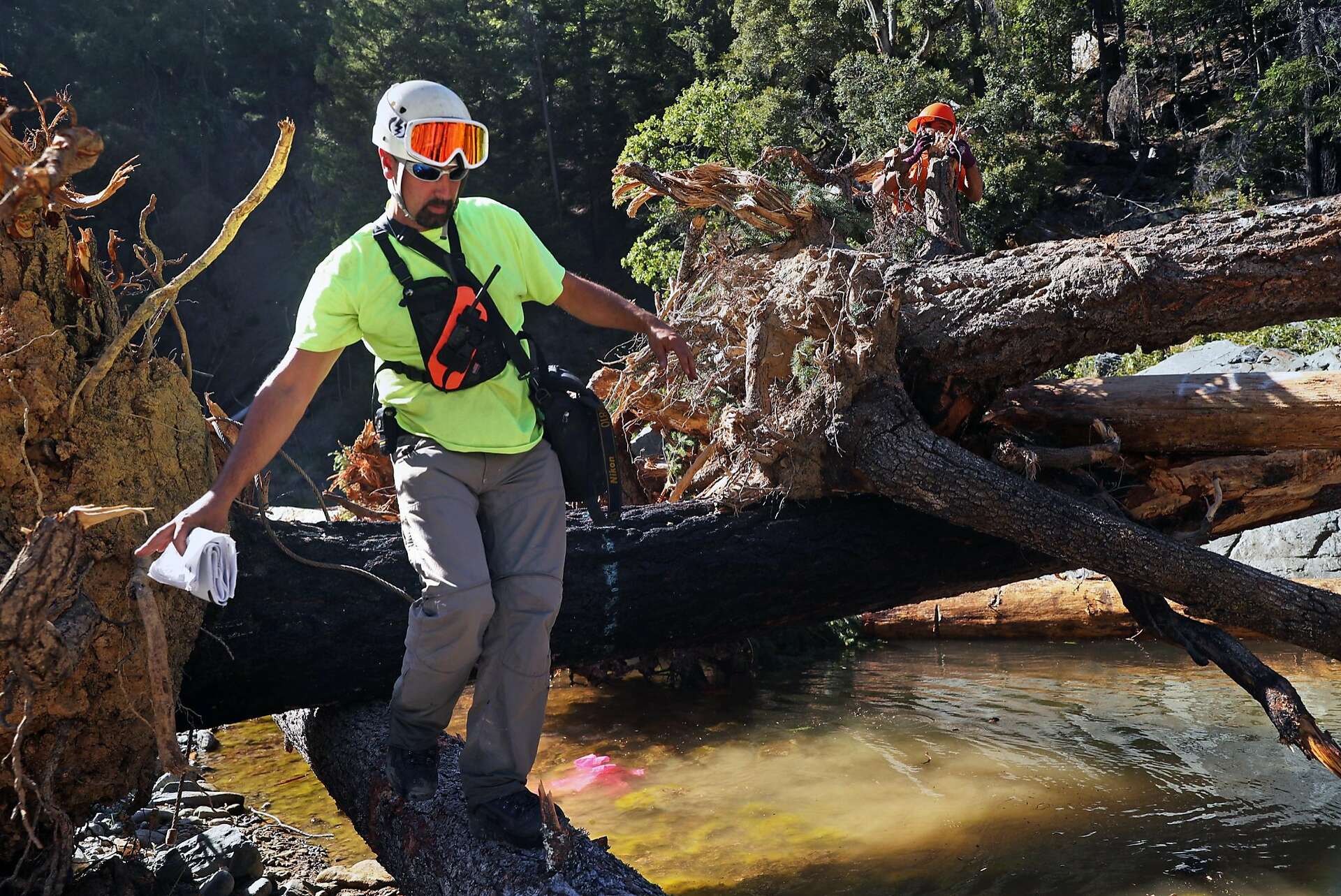 Yurok tribe revives ancestral lands by restoring salmon runs ...