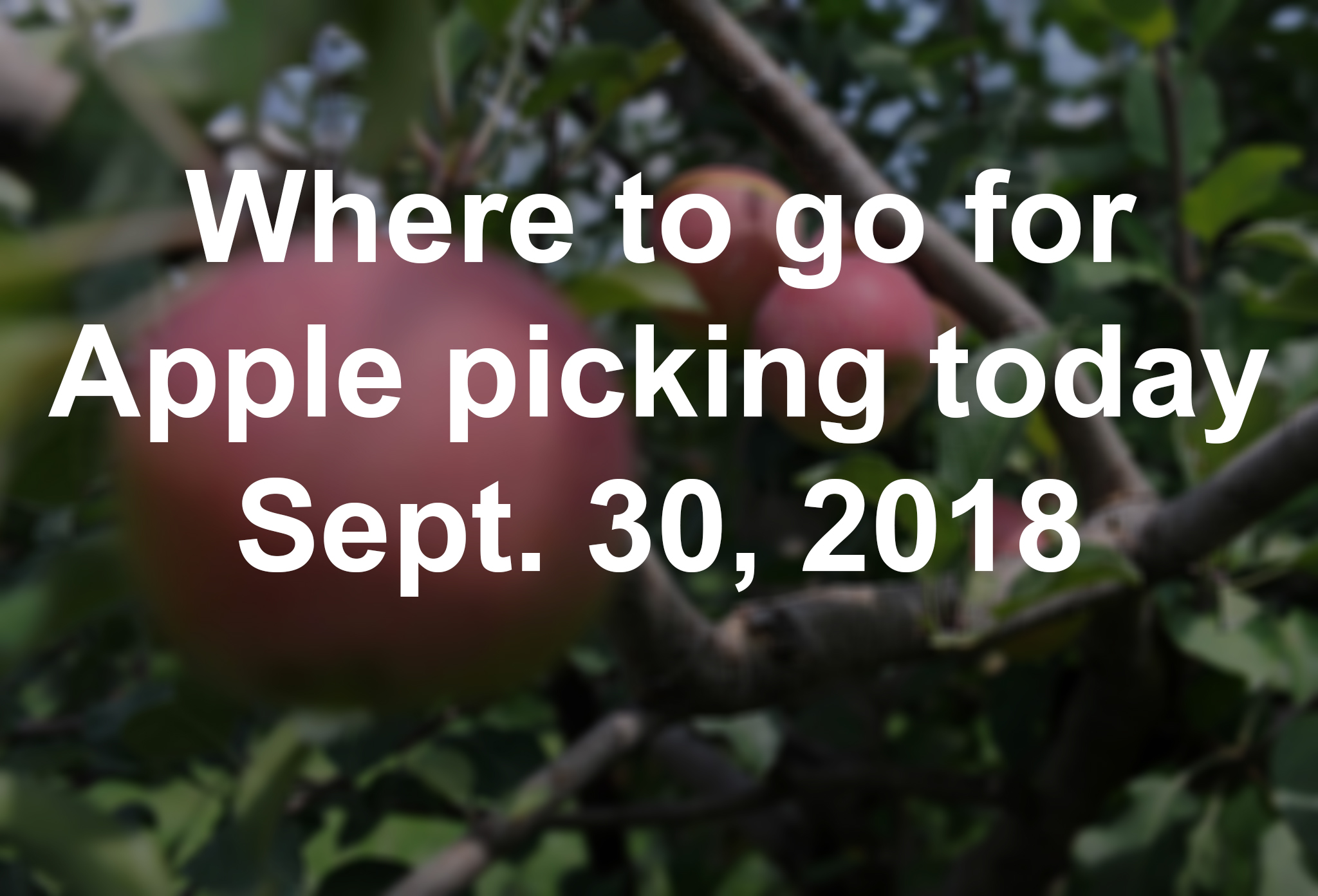 Where to go for apple picking today, Sept. 30, 2018