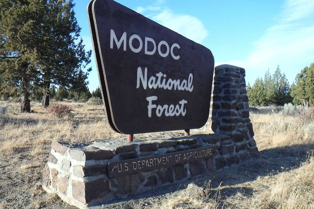 Wild horses find homes off the range on California’s Modoc Plateau ...