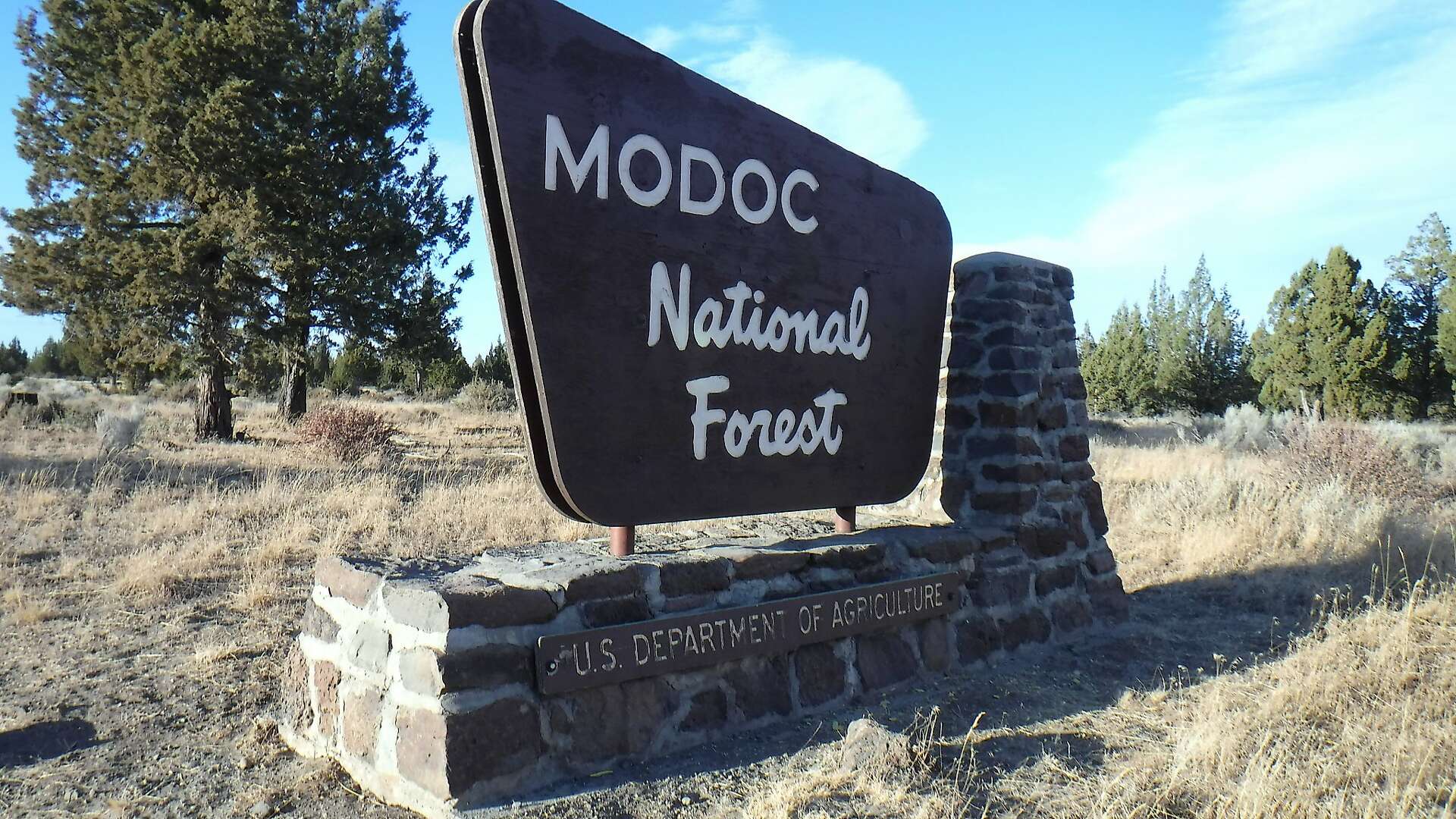 Wild horses find homes off the range on California’s Modoc Plateau