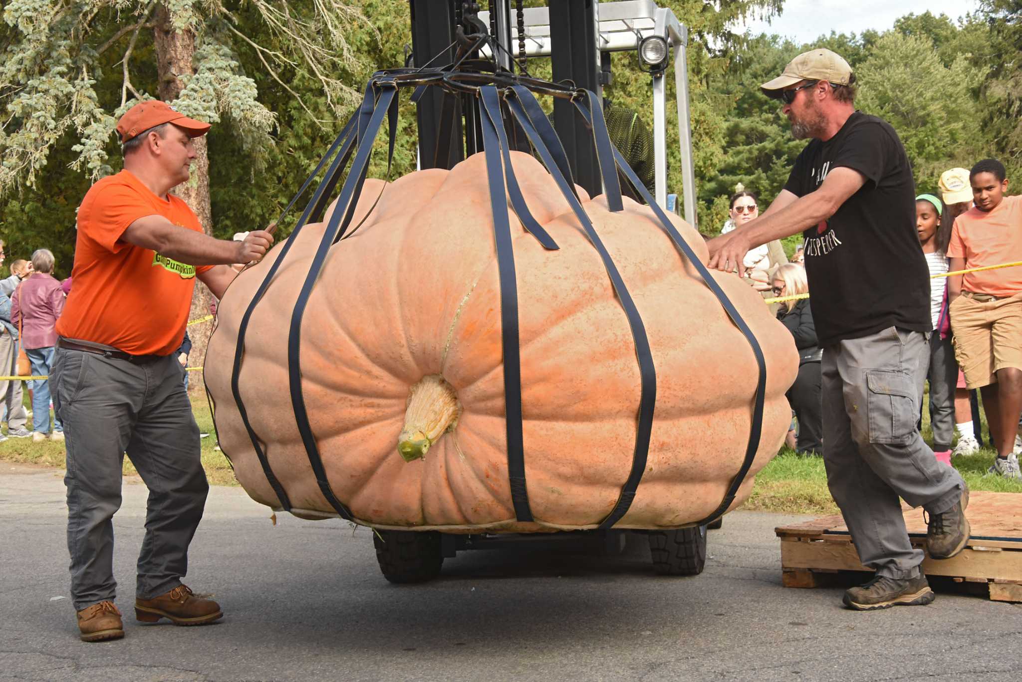 Here's what an 1,825-pound pumpkin looks like