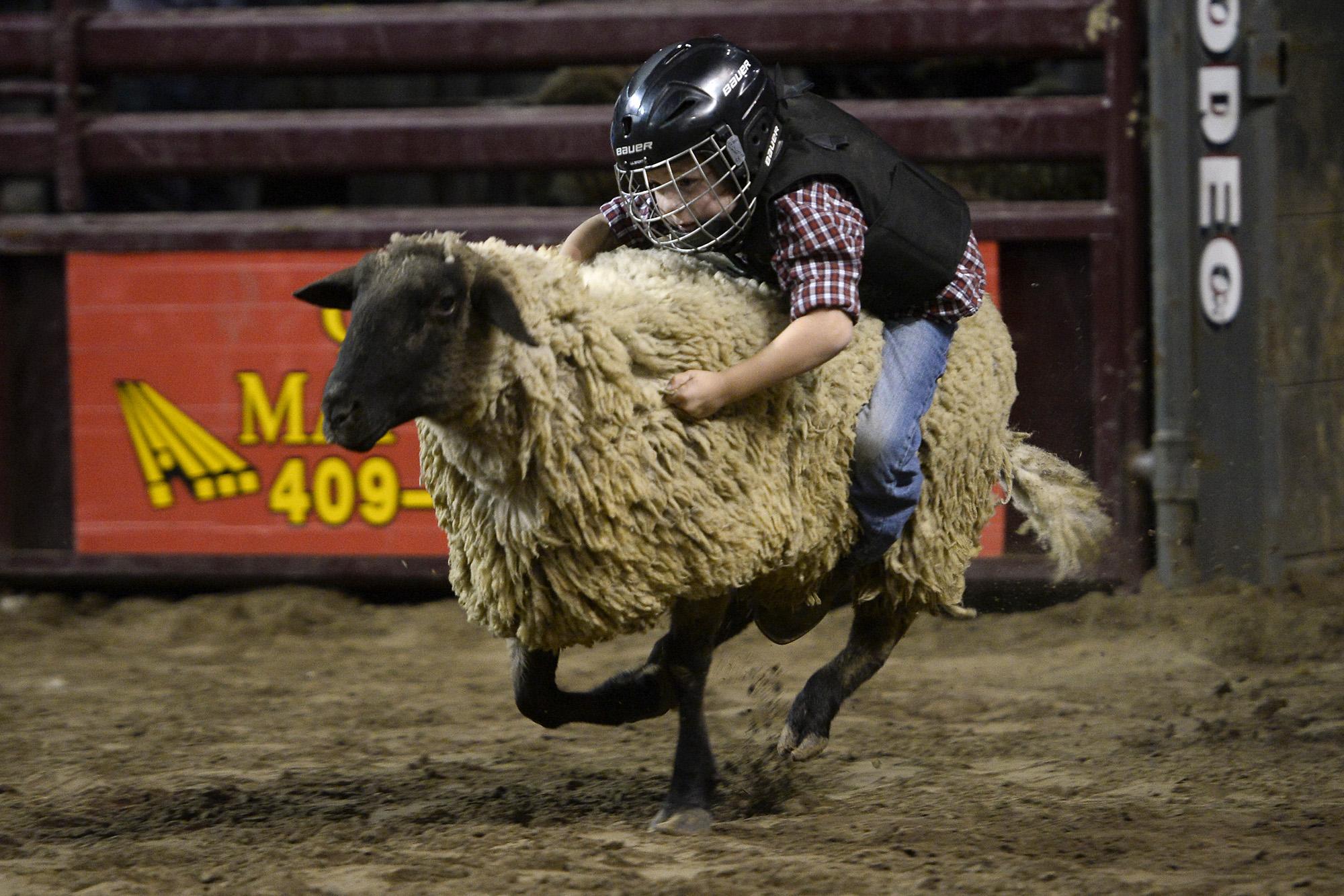 Fort Bend County Fair ends Sunday