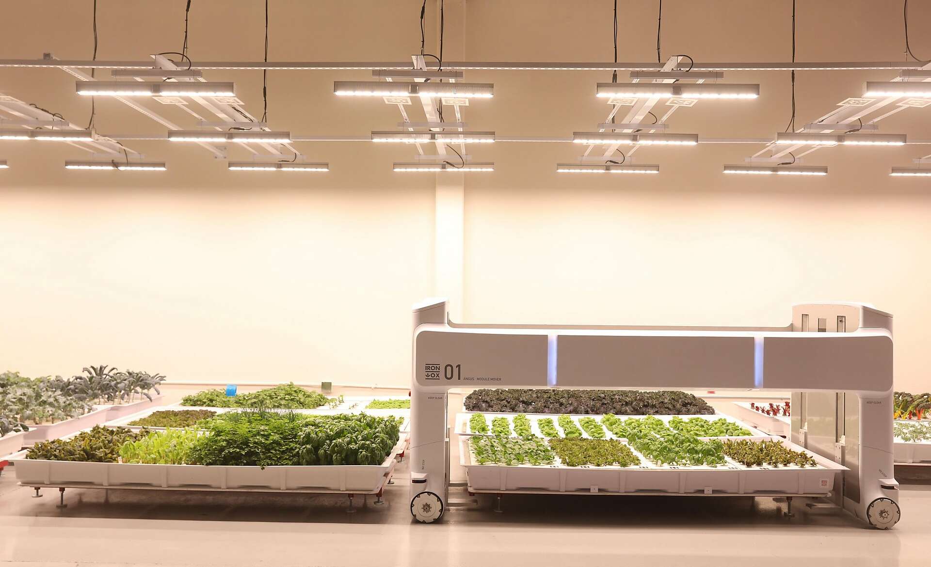U.S.’s first robotic farm opens in the Bay Area