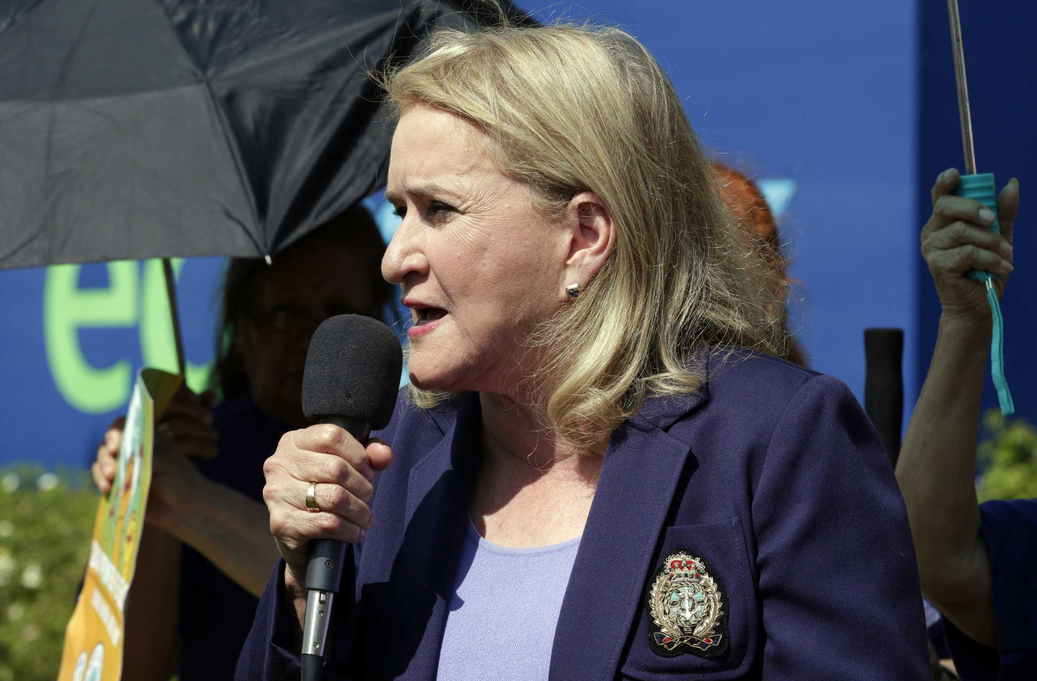 For the 29th Congressional District: Sylvia R. Garcia