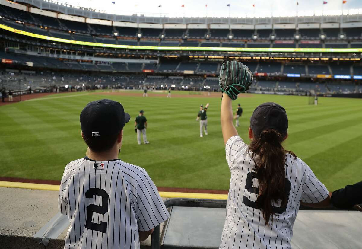 Bronx bomber: Yankees fan pours beer over Athletics fan's head