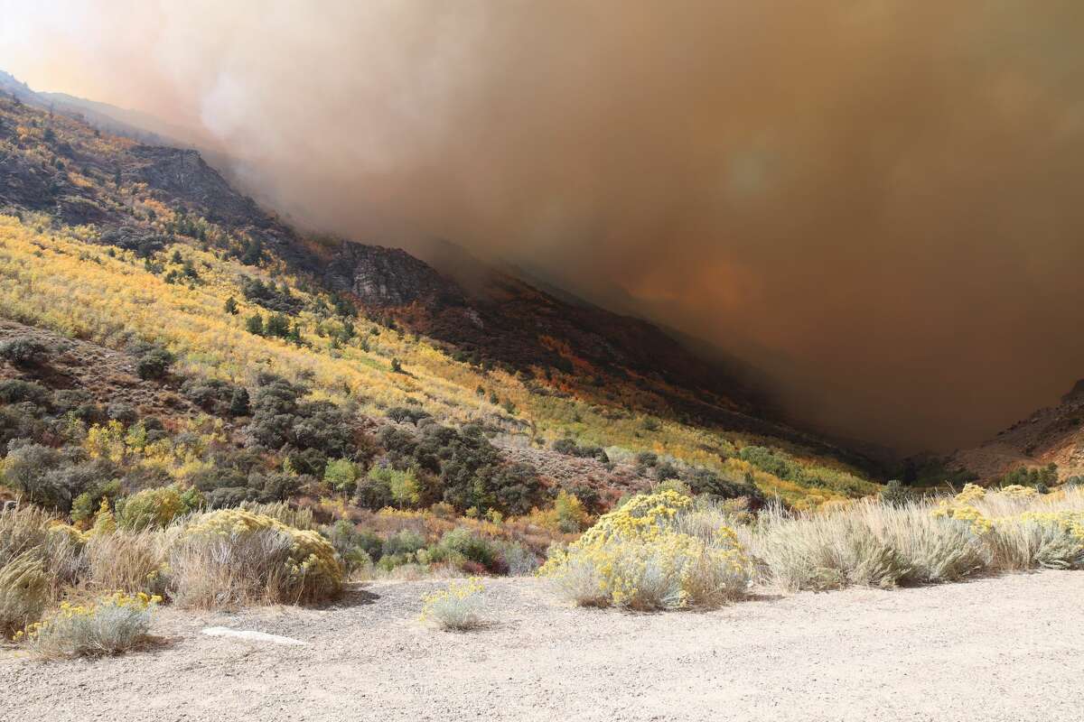 One man's insane evacuation from a raging wildfire: 'We were the last ...