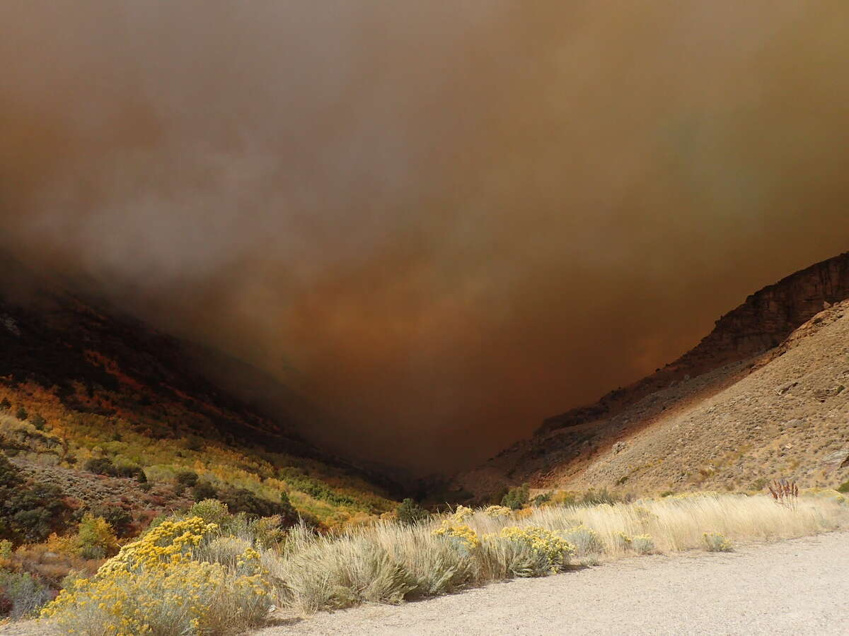 One man's insane evacuation from a raging wildfire: 'We were the last ...