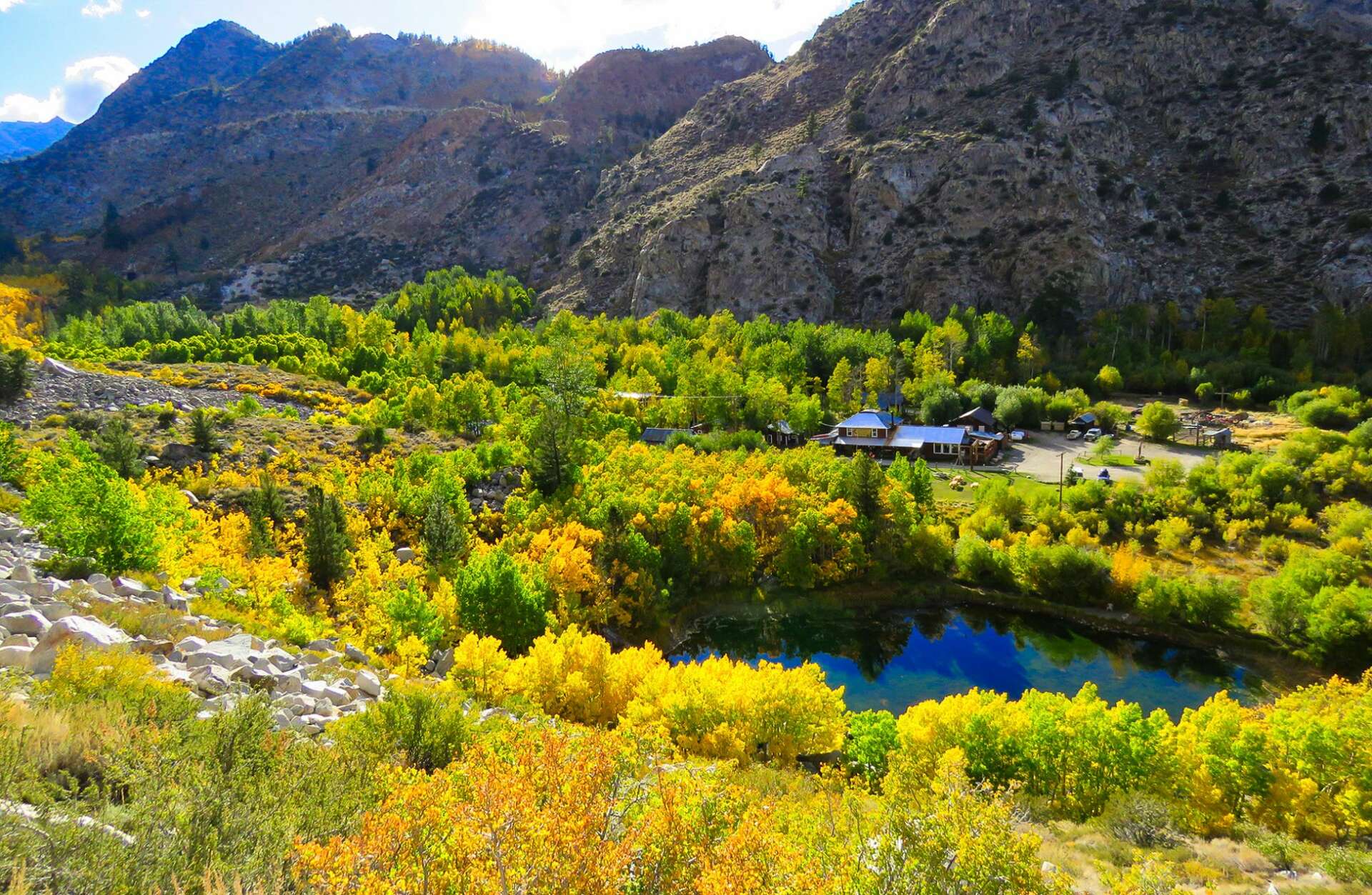 Best bets for fall foliage in the Bay Area and Northern California