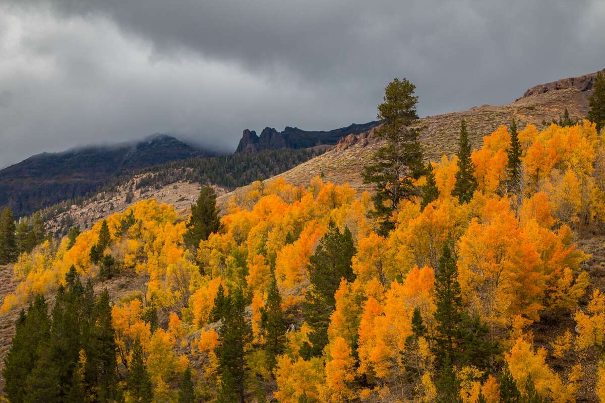 Go now! Brilliant fall colors peak in Eastern Sierra