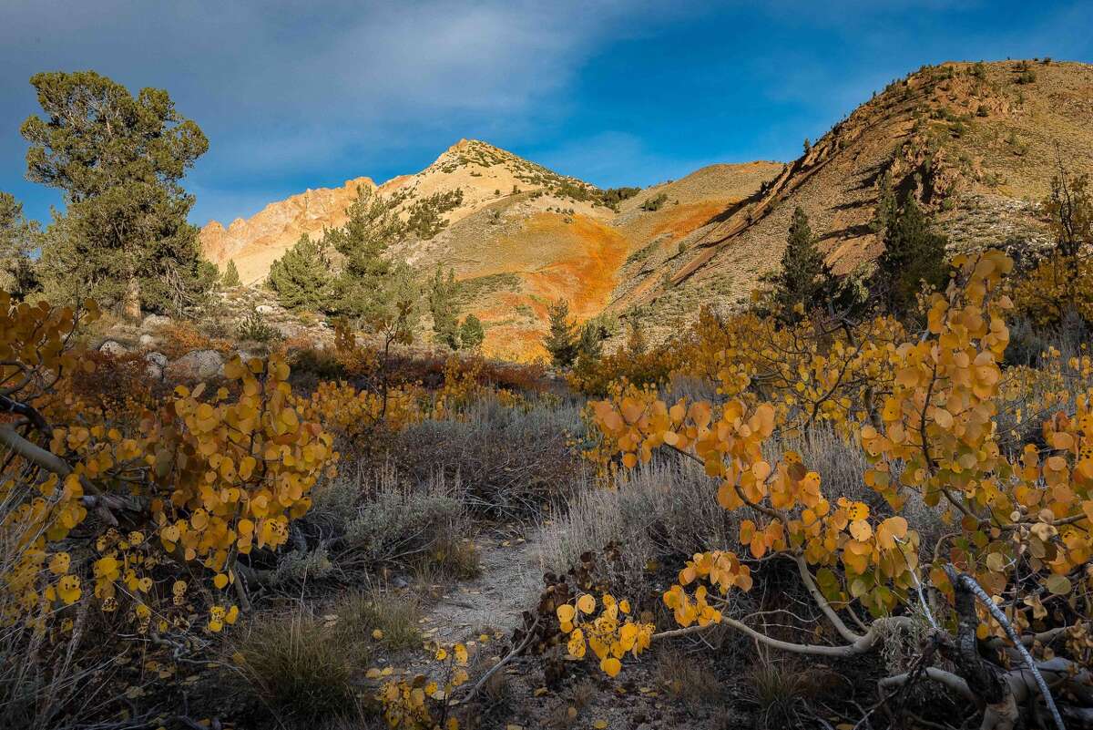 Go now! Brilliant fall colors peak in Eastern Sierra