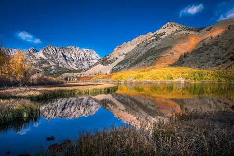 15 of the best places to see fall leaves near the Bay Area