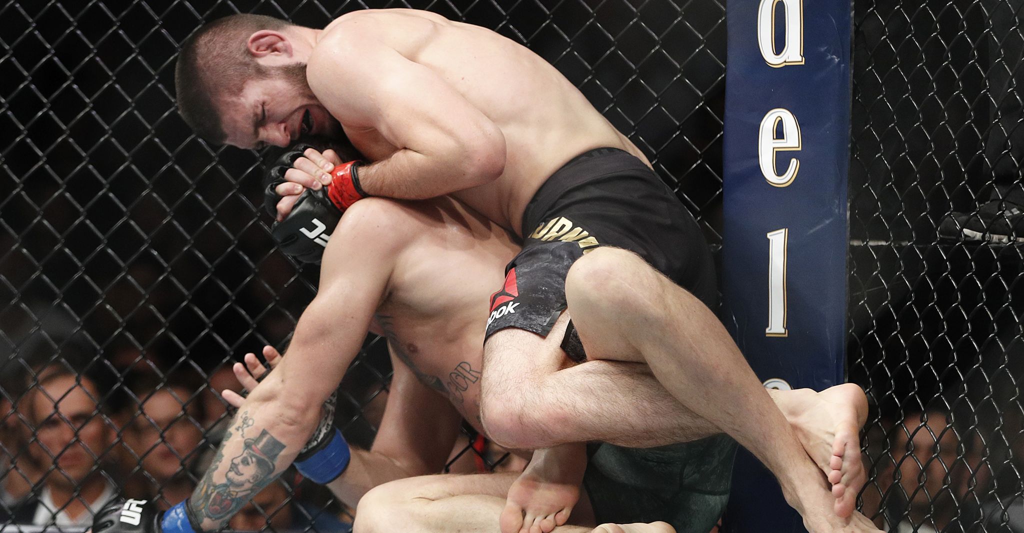 Melee at UFC 229 after Khabib Nurmagomedov chokes out Conor McGregor