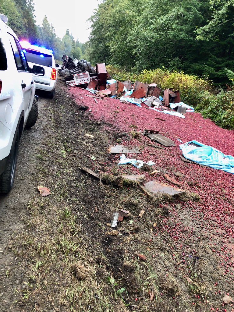 Cranberry truck spills load on Washington highway after going off pavement