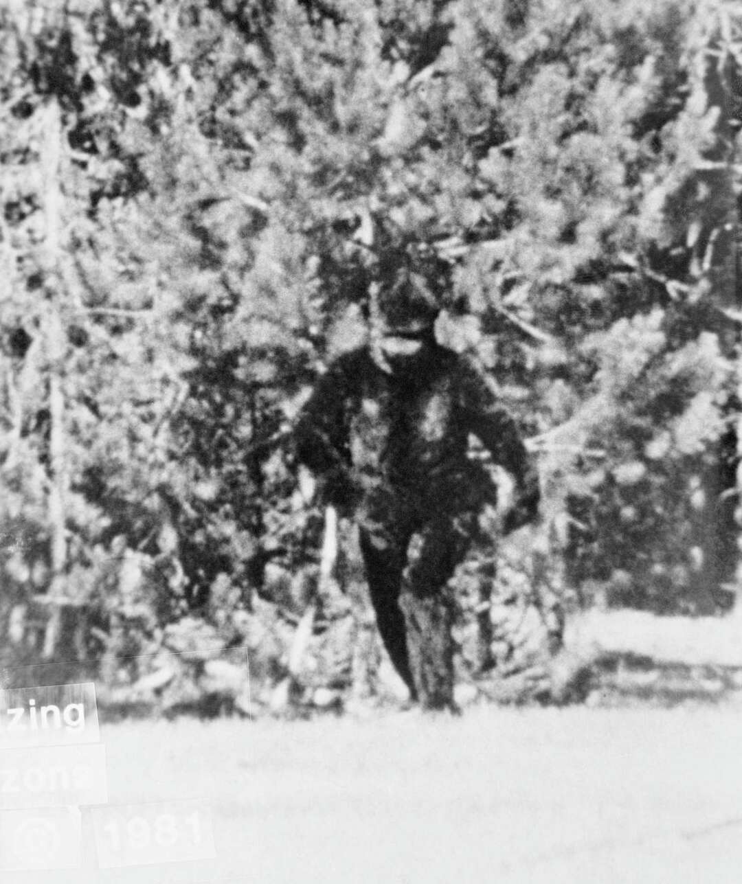 Fairfield writer explores history of 1967 Bigfoot film