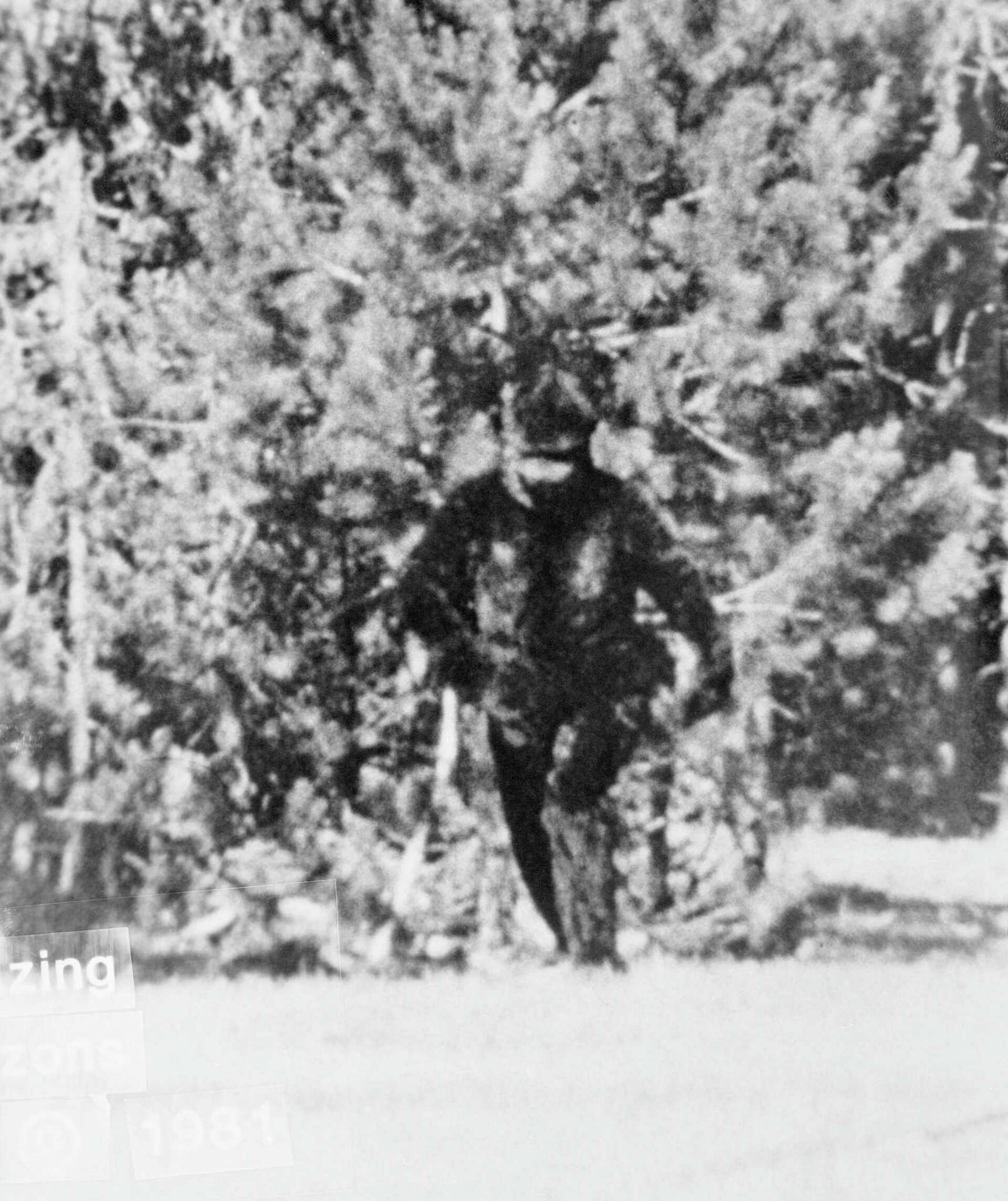 Fairfield writer explores history of 1967 Bigfoot film