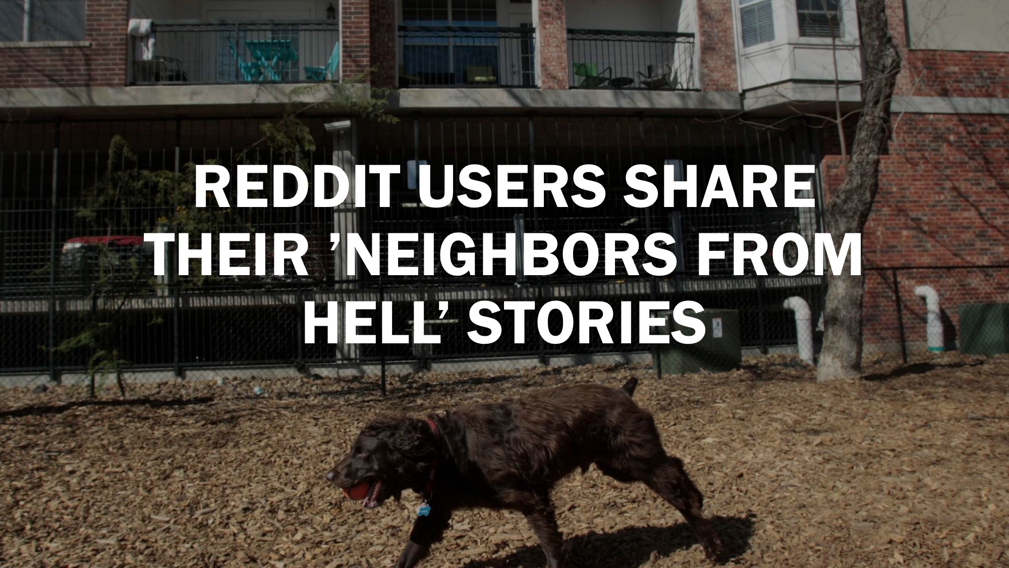 Reddit Users Share Their Neighbors From Hell Stories