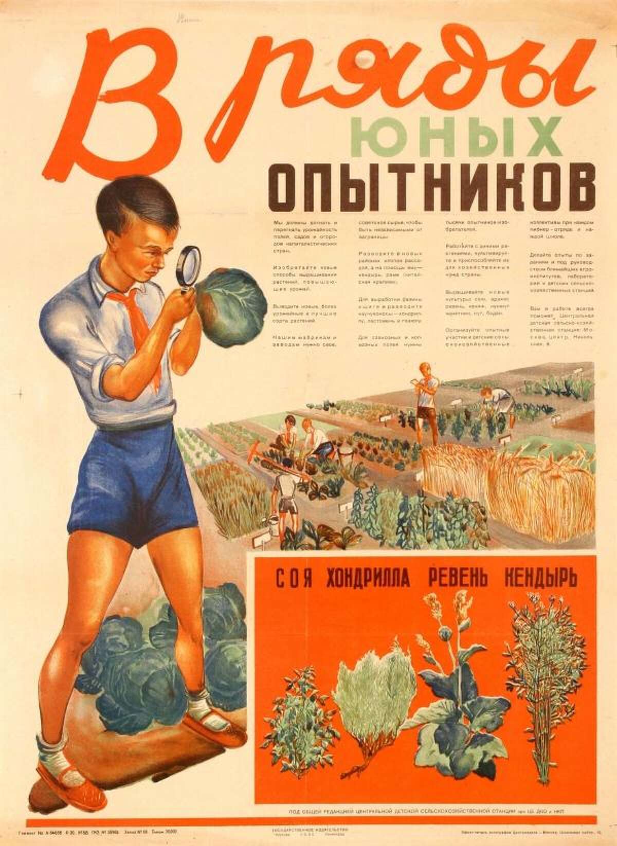 Vintage war propaganda posters show the food battles on the home front