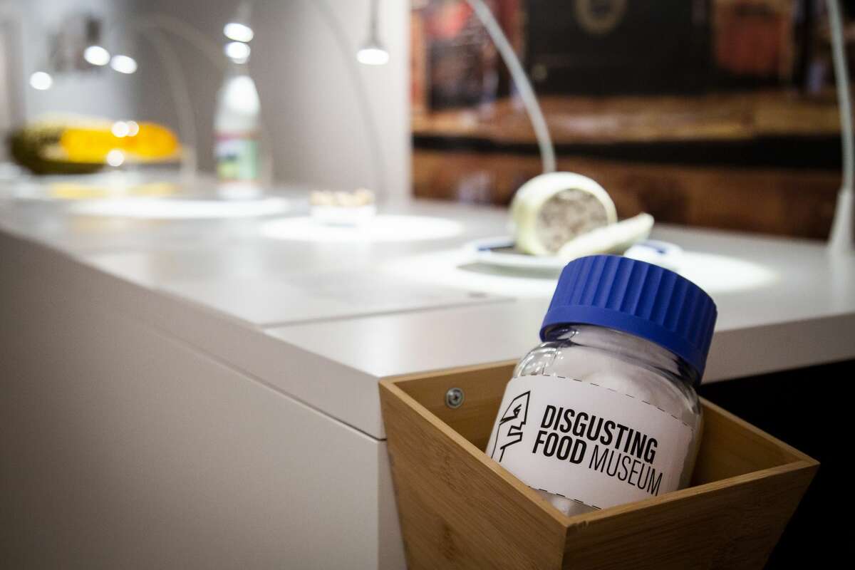 Disgusting Food Museum Proves That Objectionable Food Is In The Eye